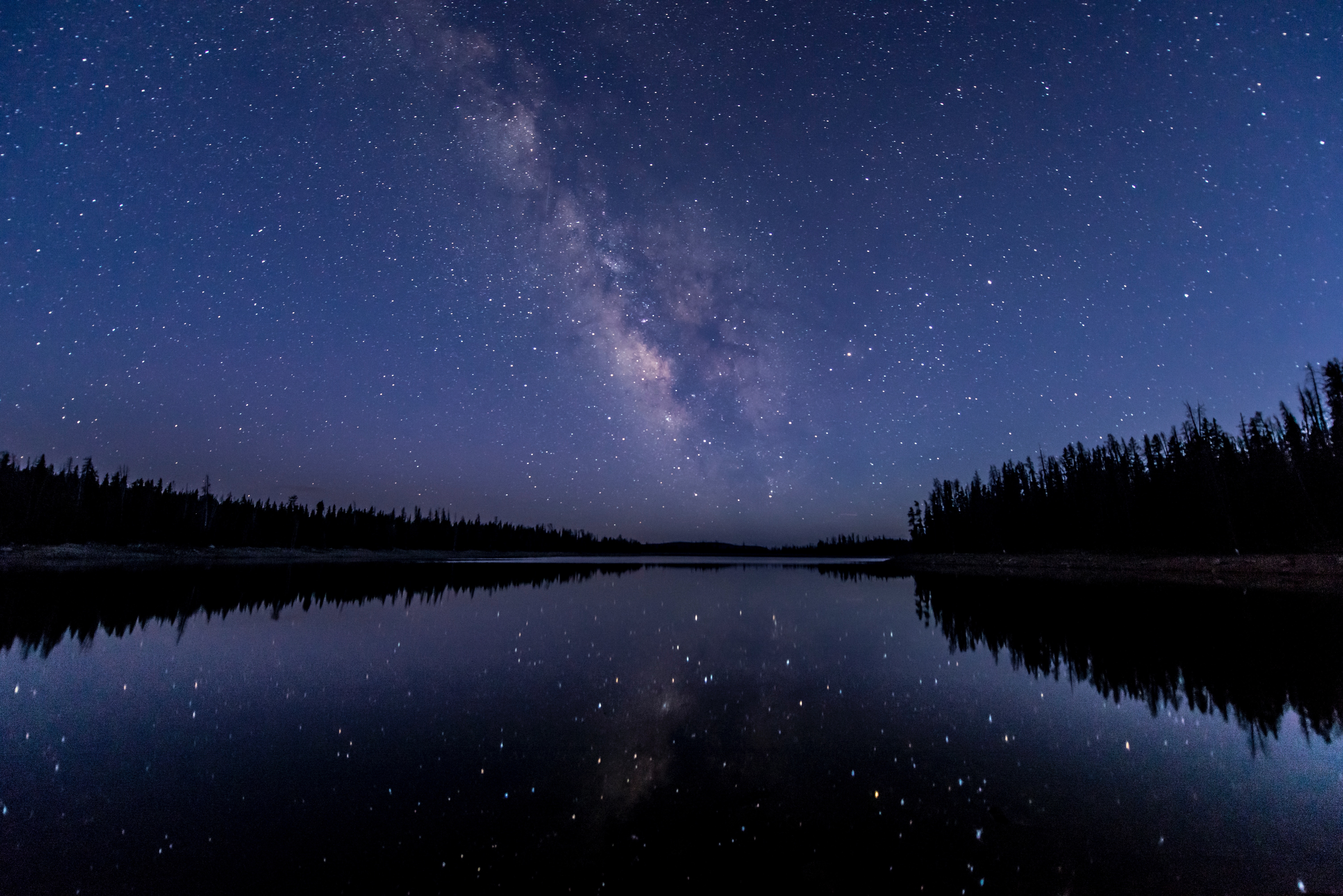 2560x10800 Forest Milky Way Night Reflection over River 2560x10800 ...