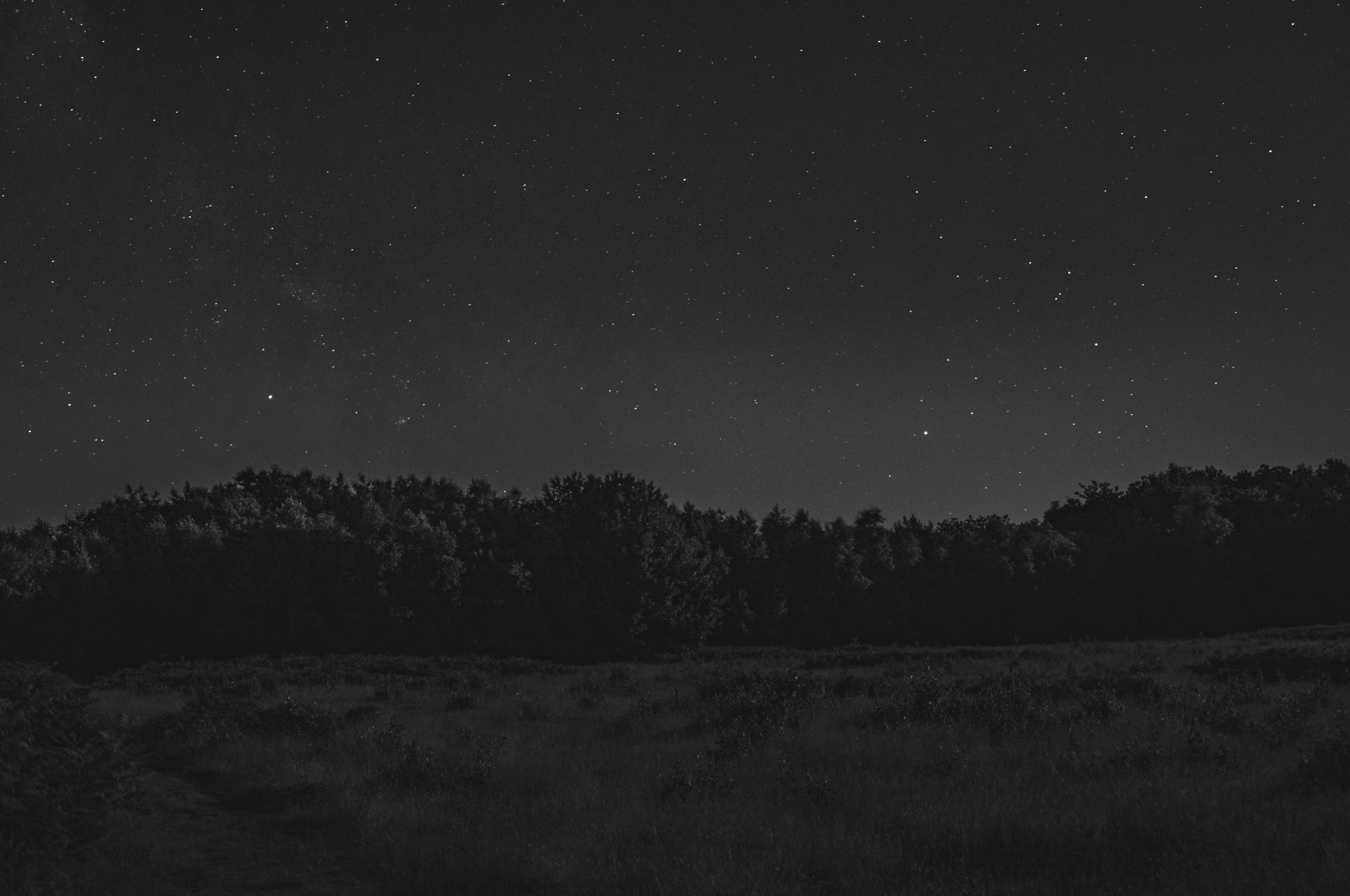 1977x1313 Resolution Forest Starry Night Monochrome 1977x1313 ...