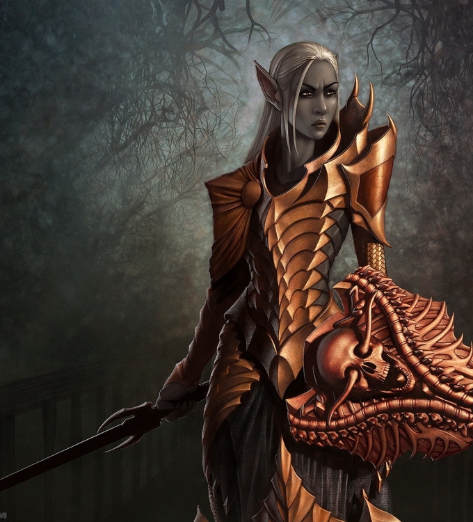 680x750 Resolution girl, elf, armor 680x750 Resolution Wallpaper ...