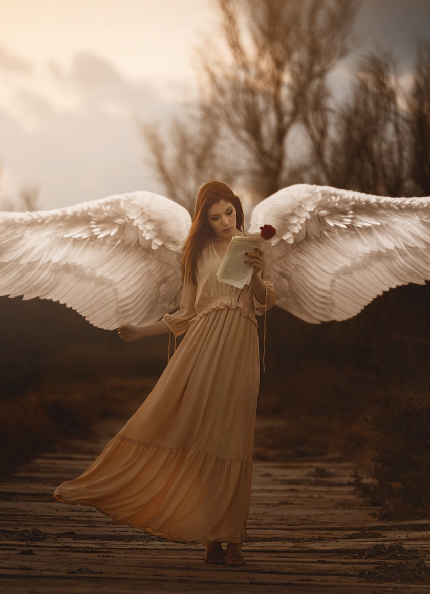 Girl With Wings
