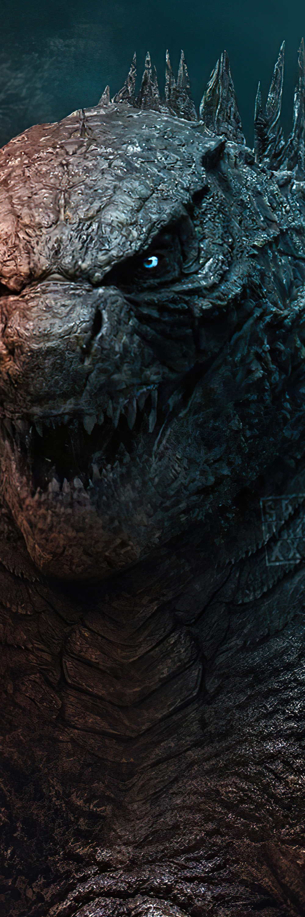 1000x3000 Godzilla Vs Kong King Characters Fan Poster 1000x3000 ...