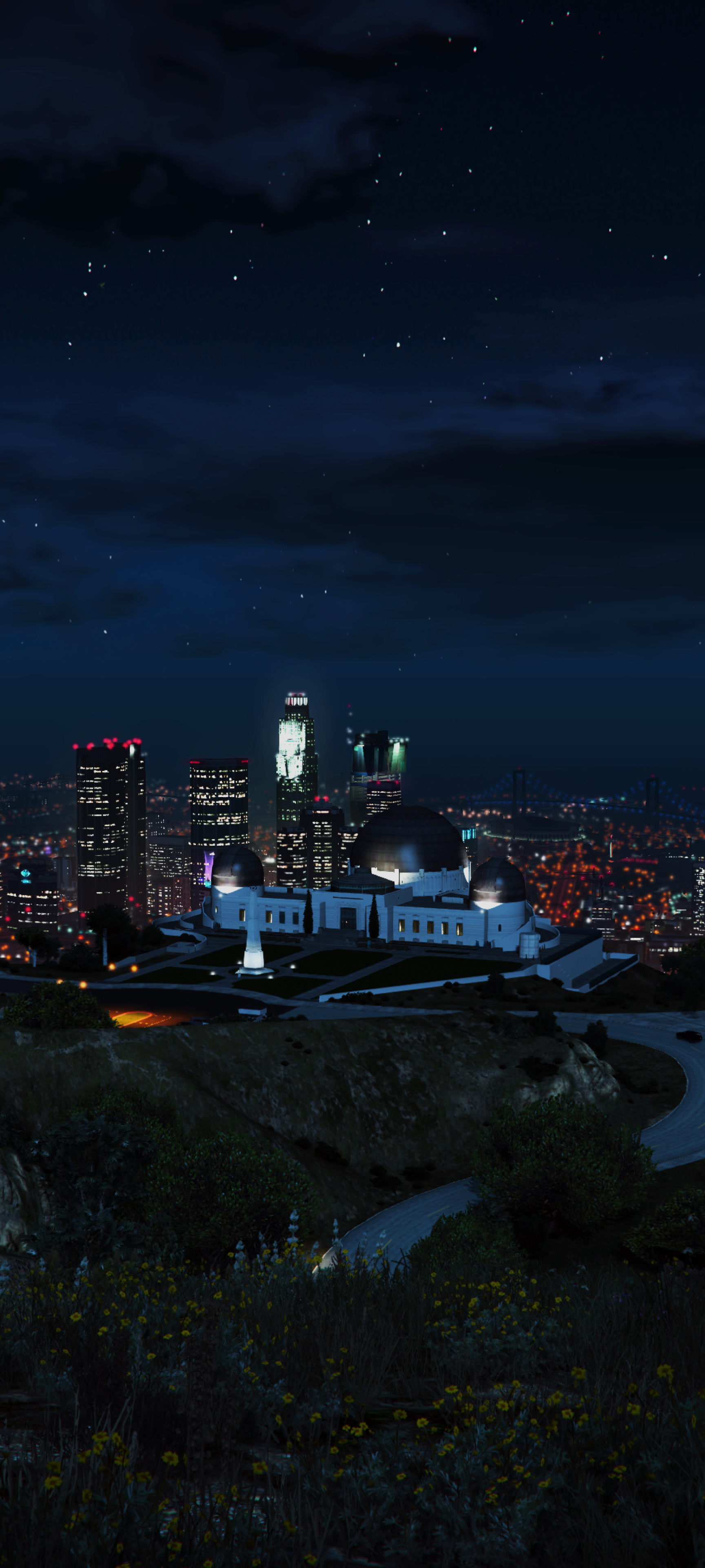 1728x3840 Resolution Grand Theft Auto 5 City View 1728x3840 Resolution ...