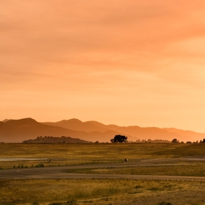 300x300 Resolution grass, bumps, distance 300x300 Resolution Wallpaper ...