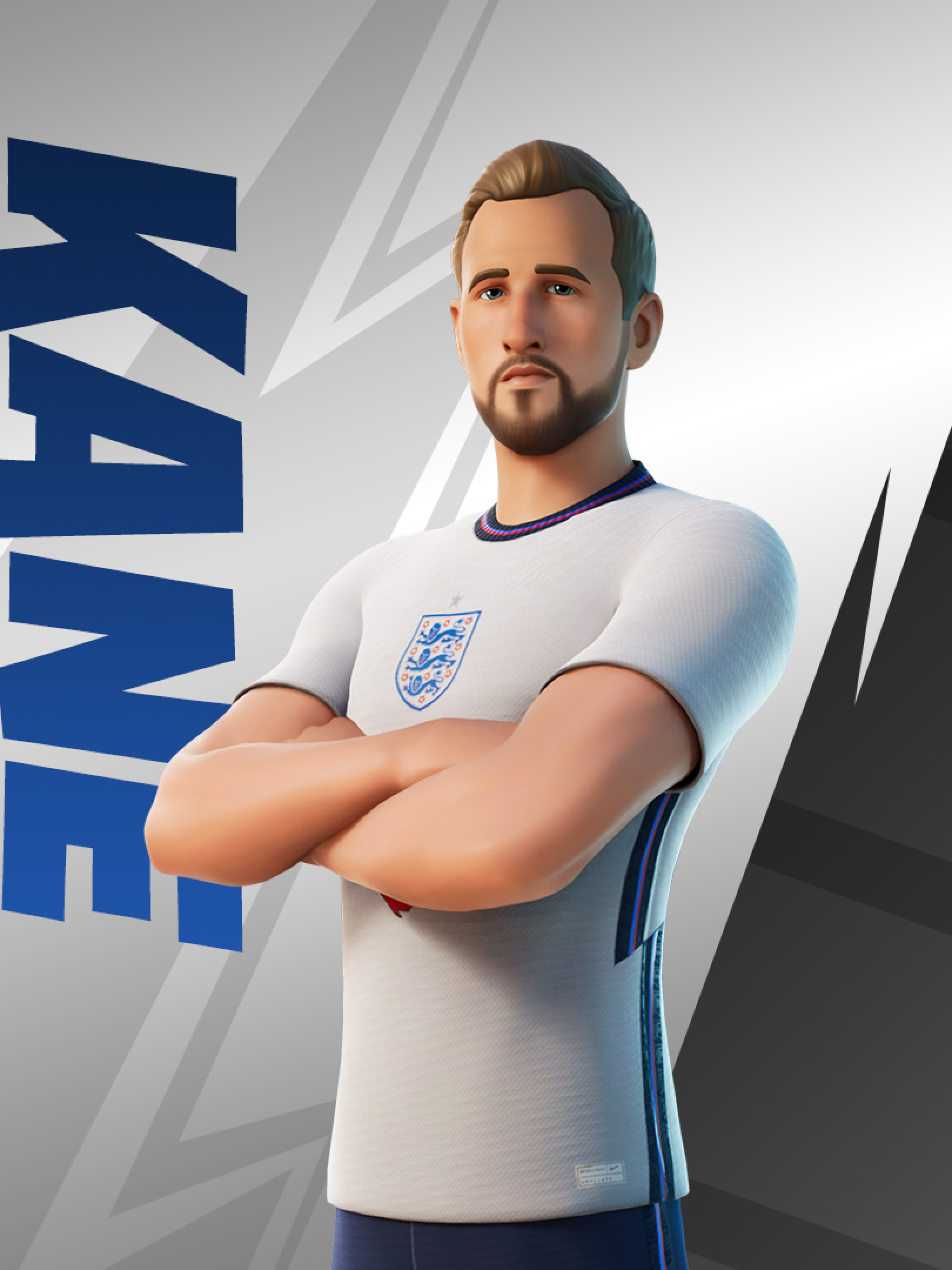 1620x2160 Harry Kane & Marco Reus Fortnite 1620x2160 Resolution ...