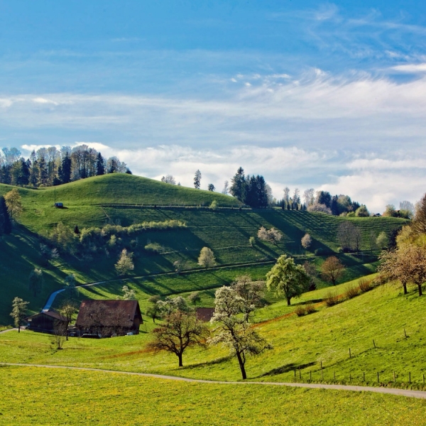 600x600 Resolution hills, landscape, trees 600x600 Resolution Wallpaper ...