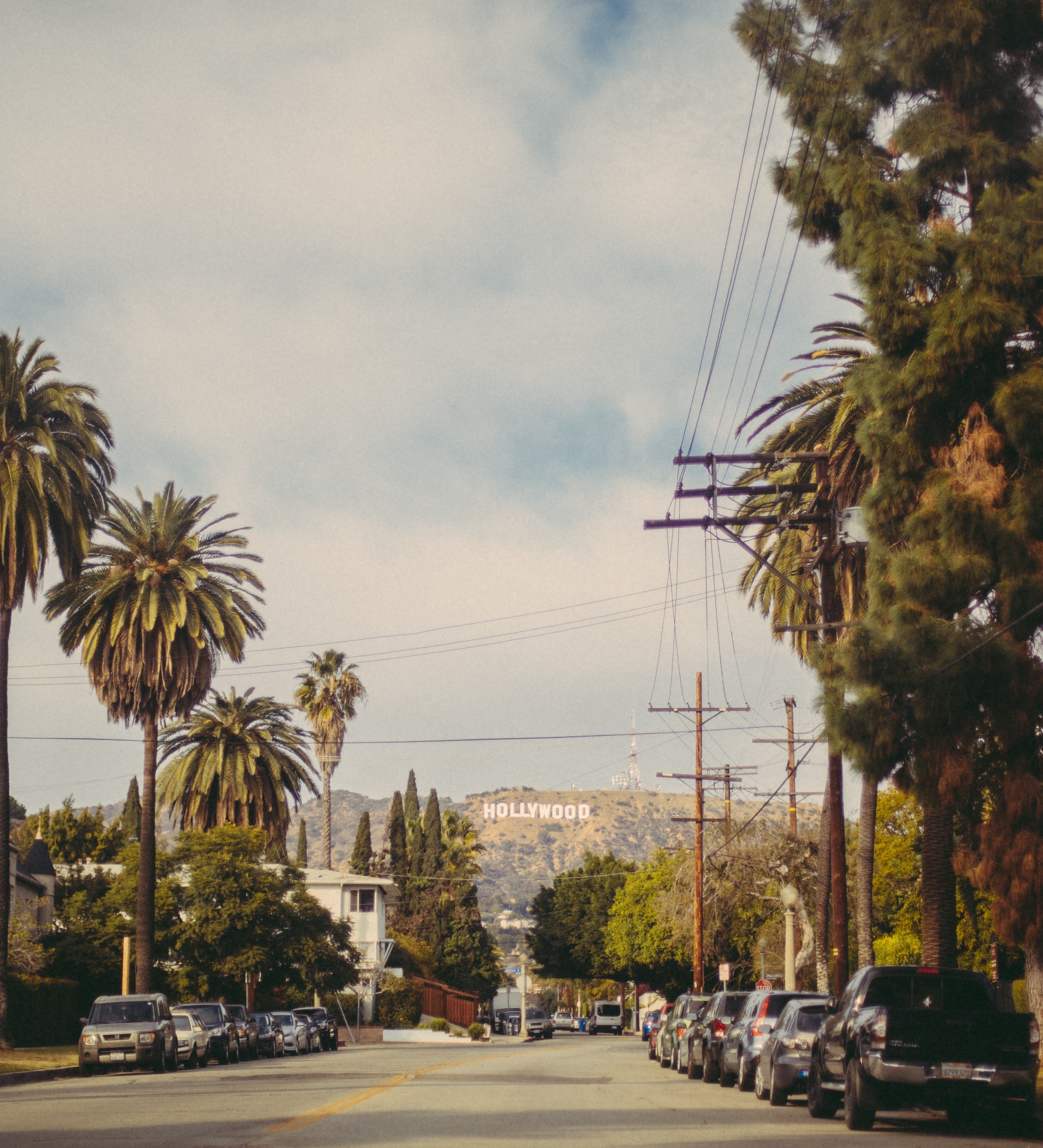 3980x4380 Resolution hollywood, road, trees 3980x4380 Resolution ...