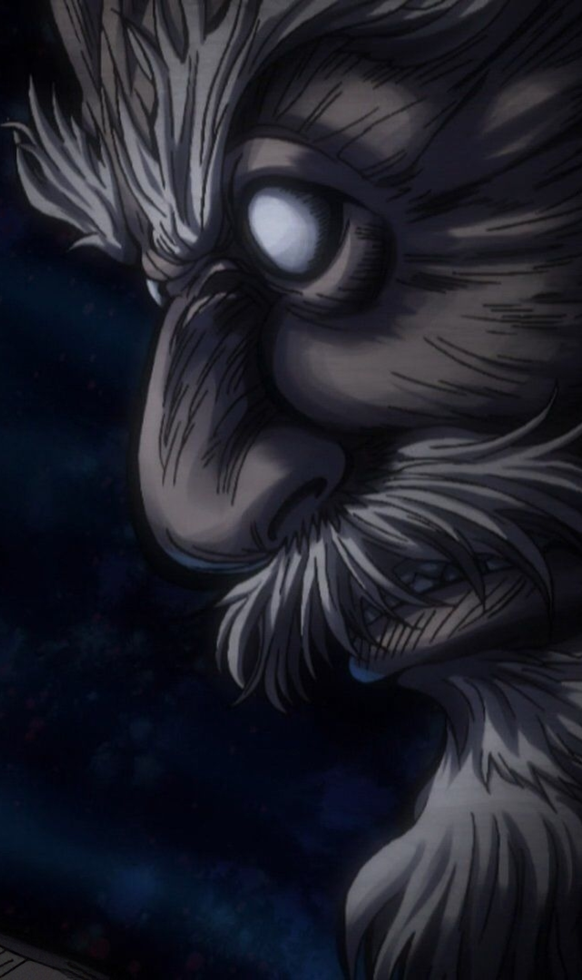 1900x3200 Resolution Hunter x Hunter Isaac Netero Scary 1900x3200 ...
