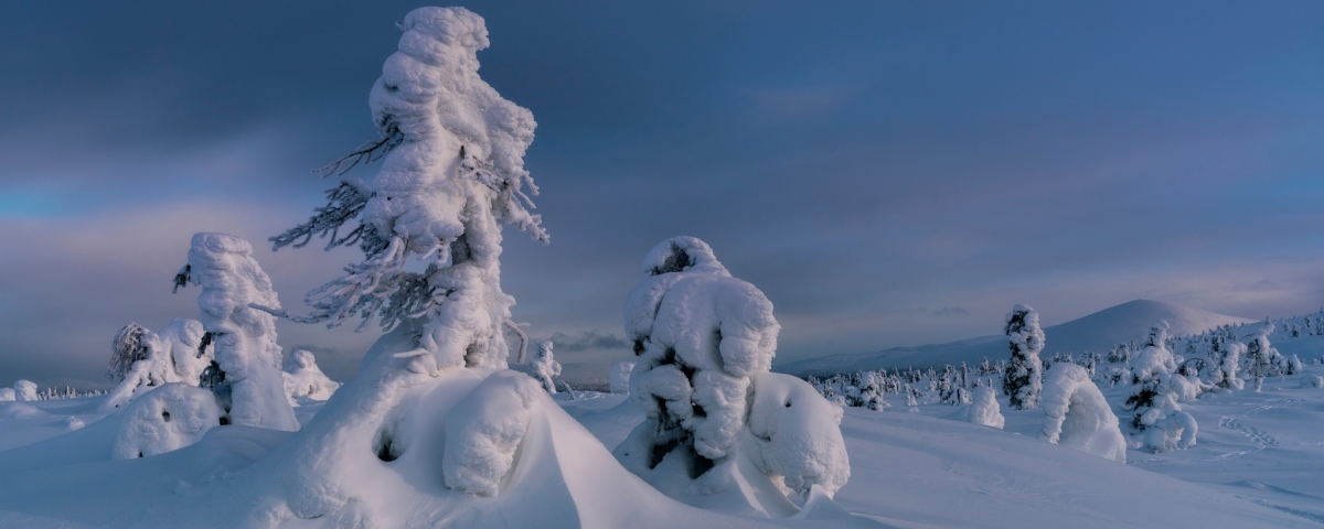1200x480 In the Winter Photography 2022 1200x480 Resolution Wallpaper ...