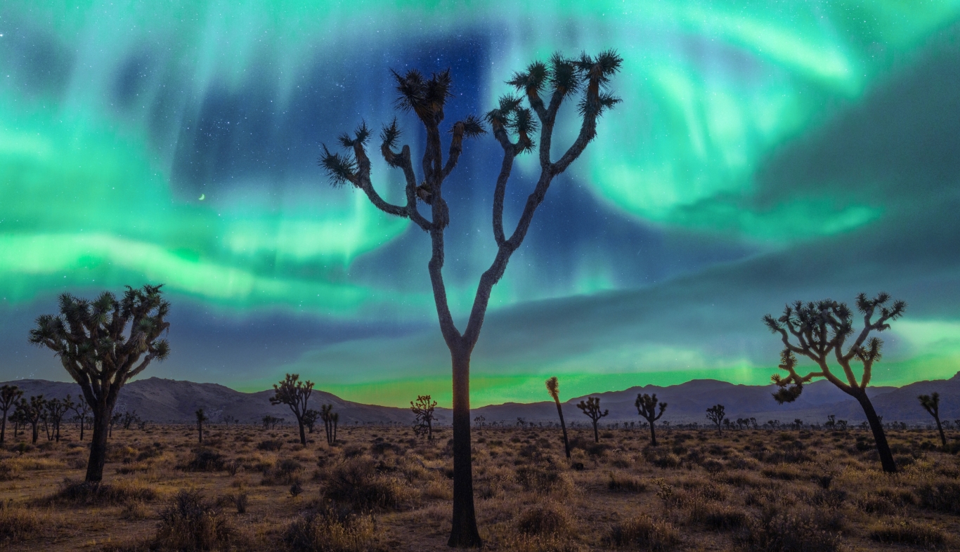 1366x786 Resolution Joshua Tree National Park 4k Aurora Borealis ...