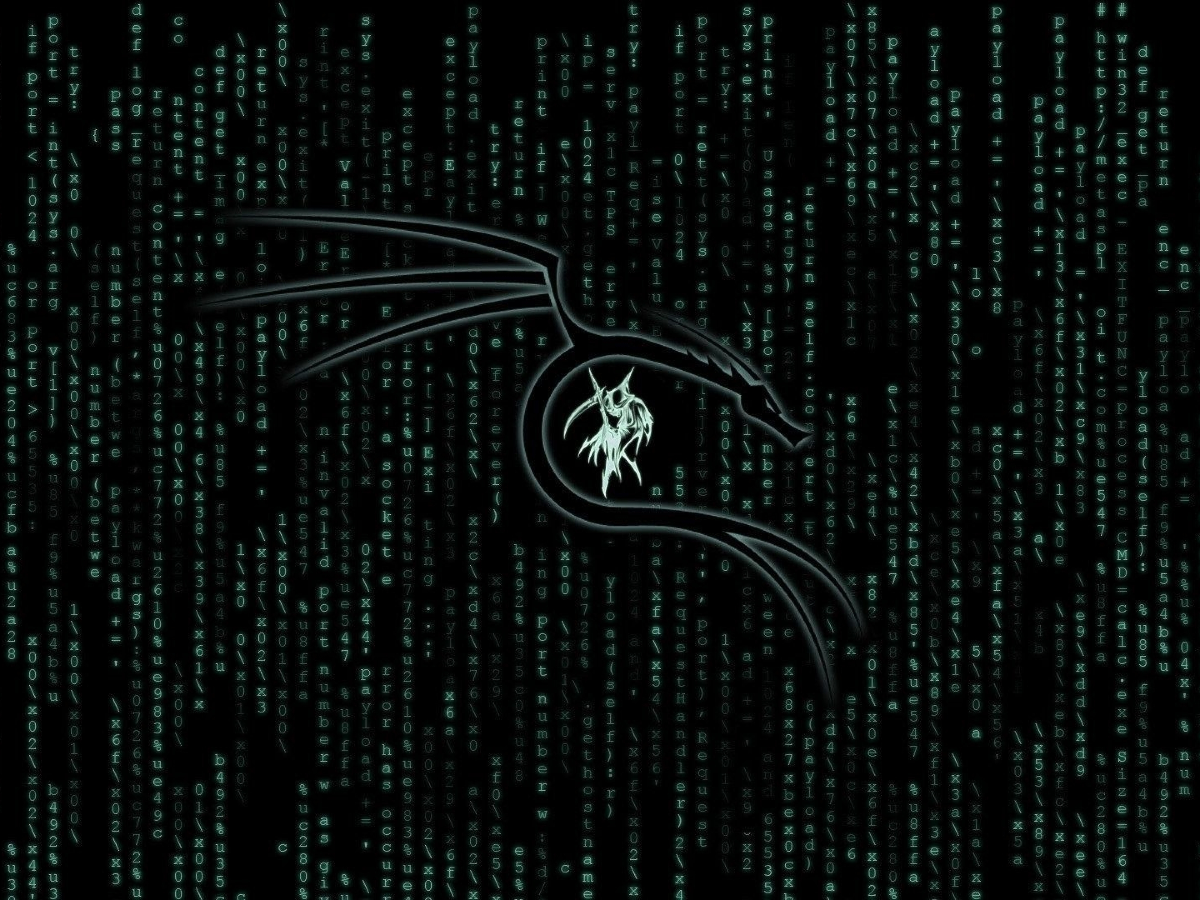 4000x3000 Resolution Kali Linux Matrix 4000x3000 Resolution Wallpaper ...