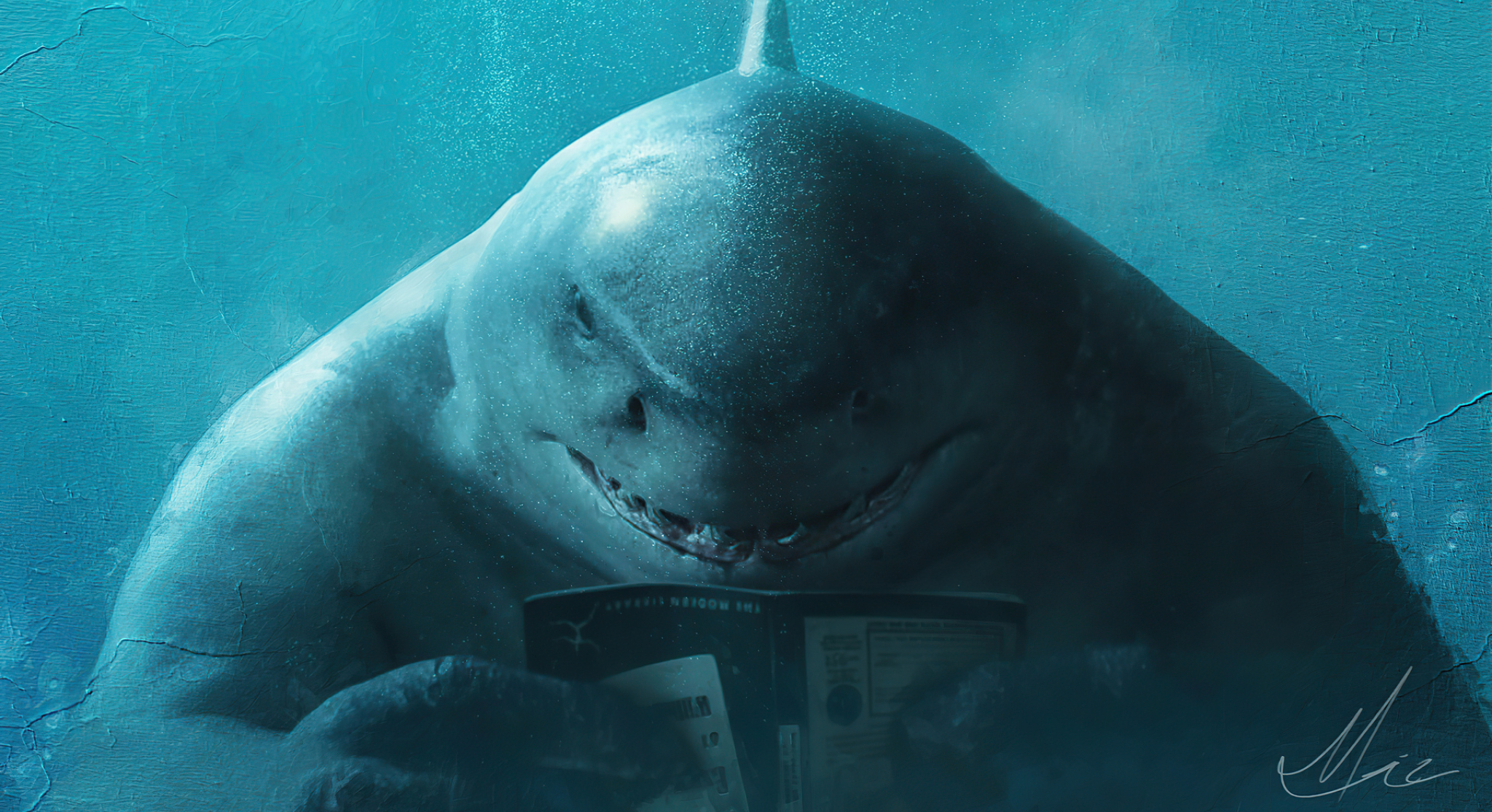 2048x1115 Resolution King Shark DC The Suicide Squad 2048x1115 ...