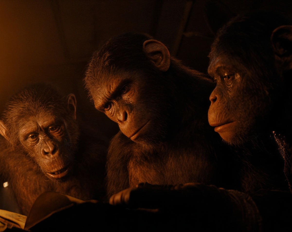 1200x952 Resolution Kingdom of the Planet of the Apes 2024 1200x952 ...