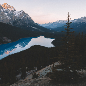 300x300 Resolution lake, mountains, trees 300x300 Resolution Wallpaper ...