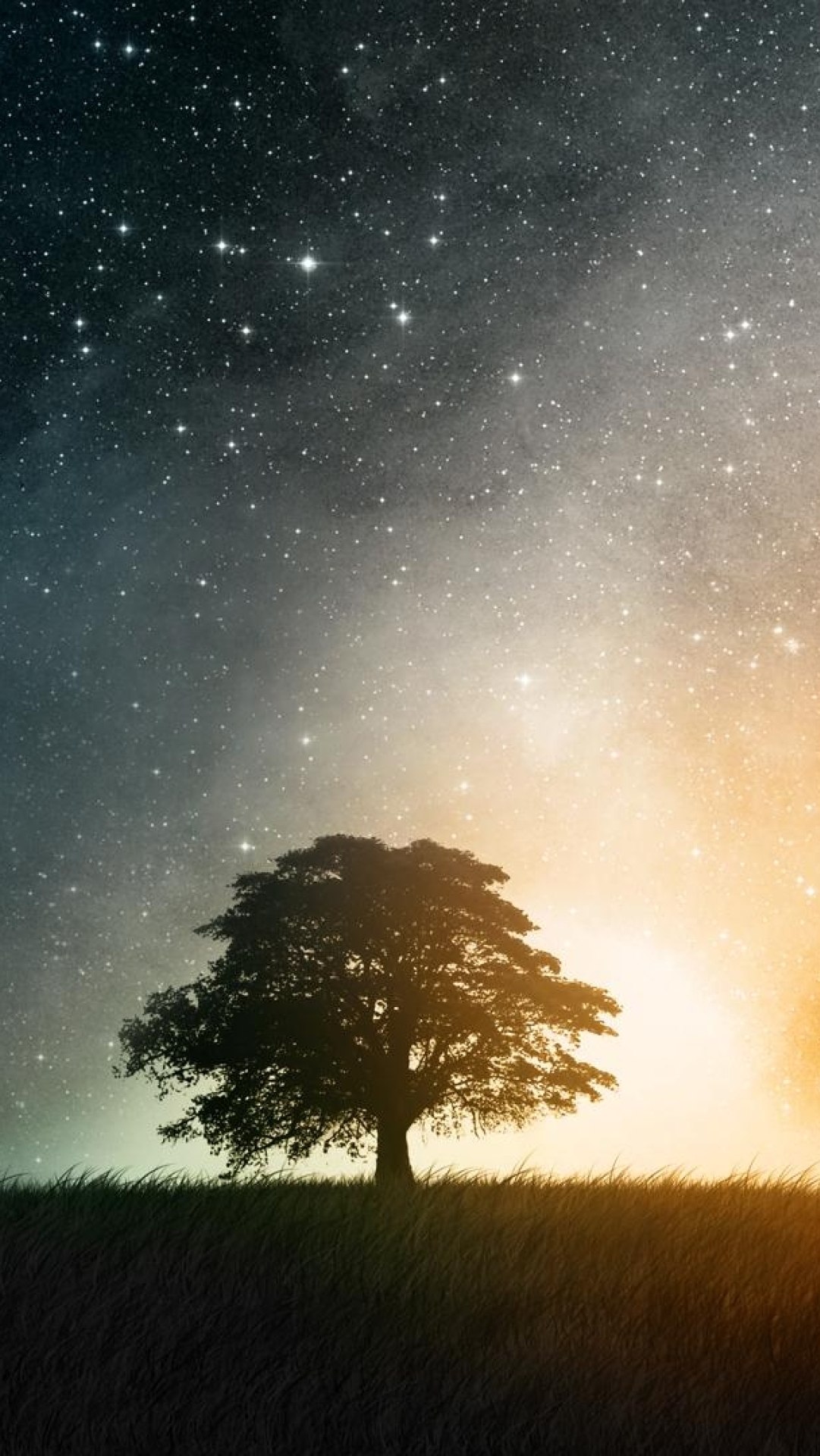 1081x1920 Resolution landscape, blue, tree 1081x1920 Resolution ...