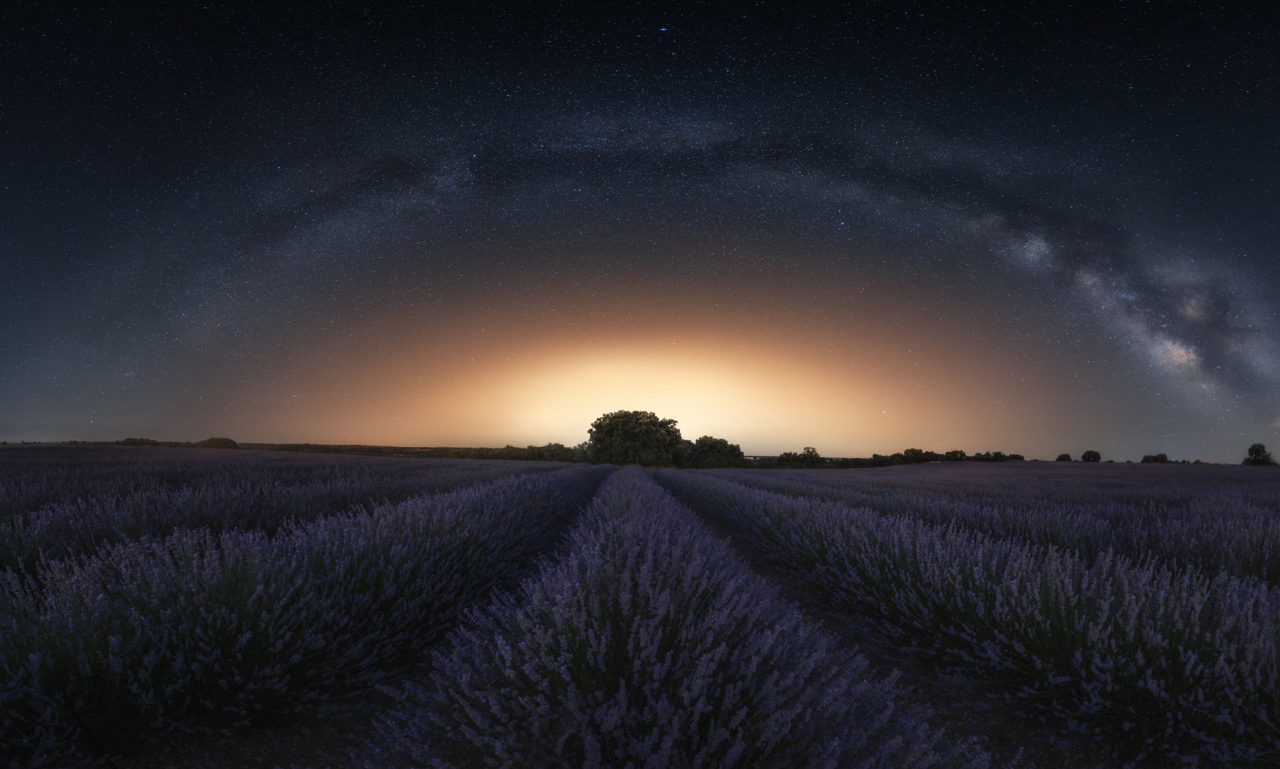 1280x769 Lavender 4K Amazing Field 1280x769 Resolution Wallpaper, HD ...
