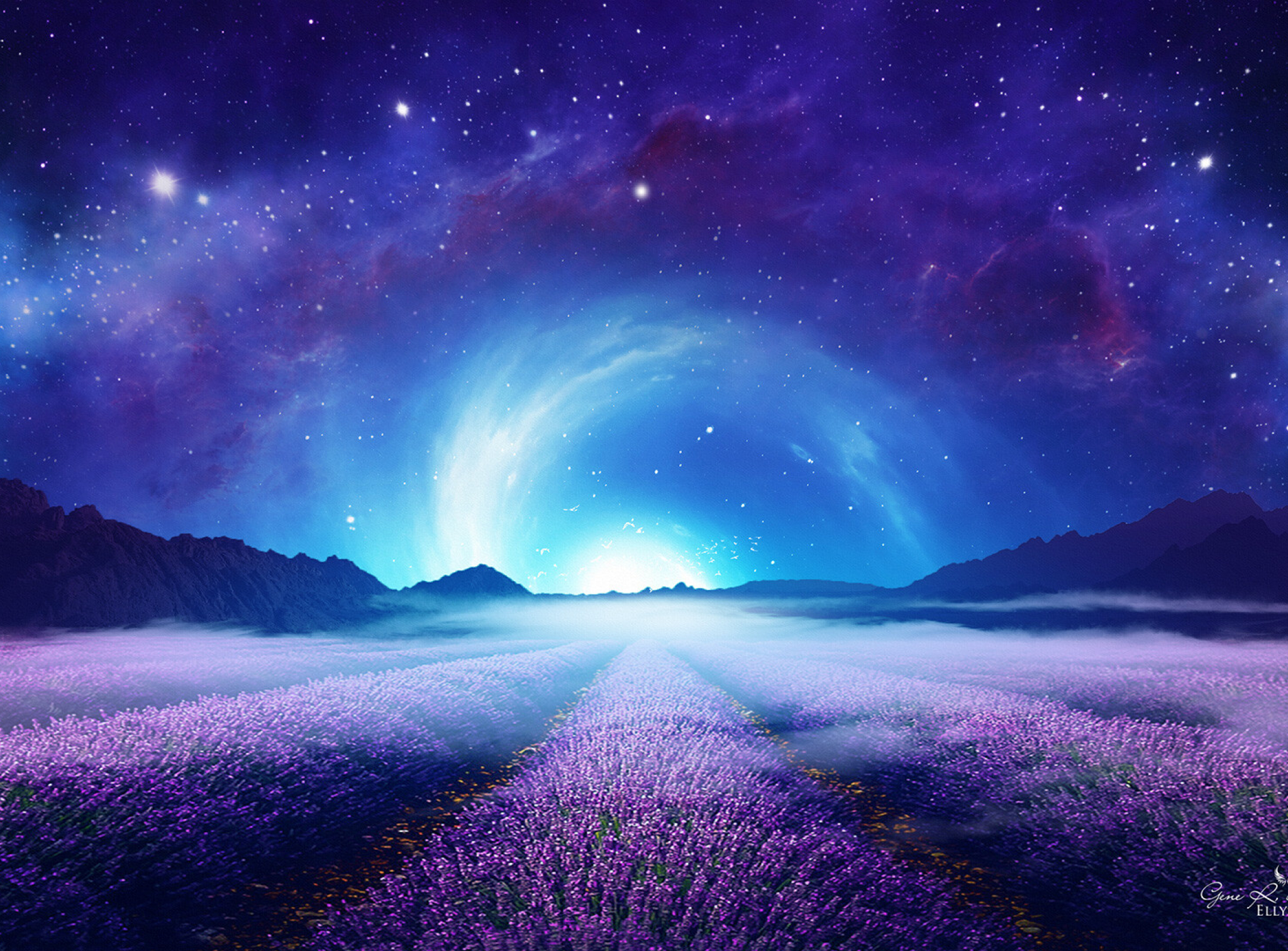 2048x1512 Lavender Field at Starry Night 2048x1512 Resolution Wallpaper ...