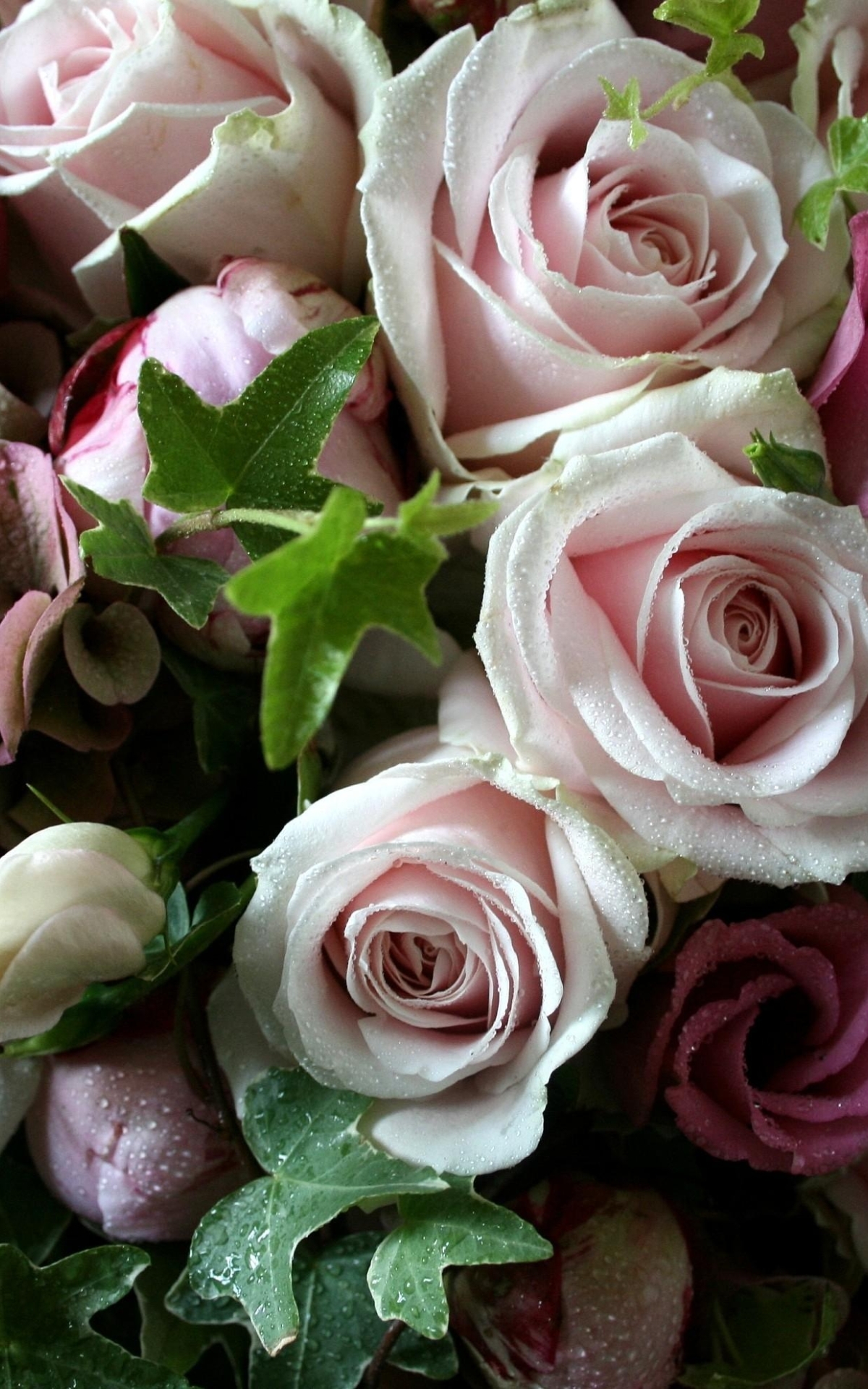 1200x1920 Resolution lisianthus russell, roses, flowers 1200x1920 ...