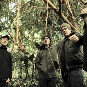 300x300 Resolution long distance calling, trees, branch 300x300 ...
