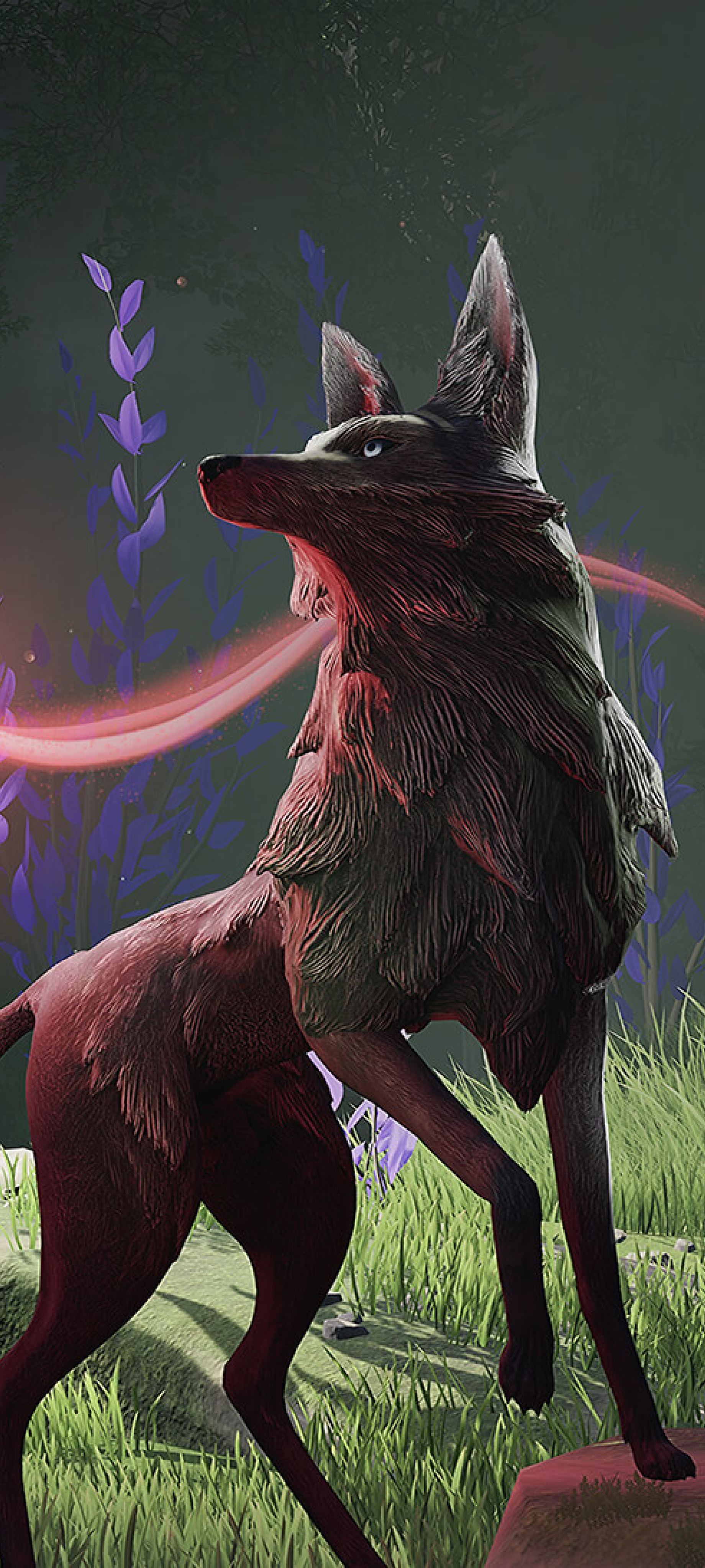 1840x4089 Resolution Lost Ember Wolf 1840x4089 Resolution Wallpaper ...