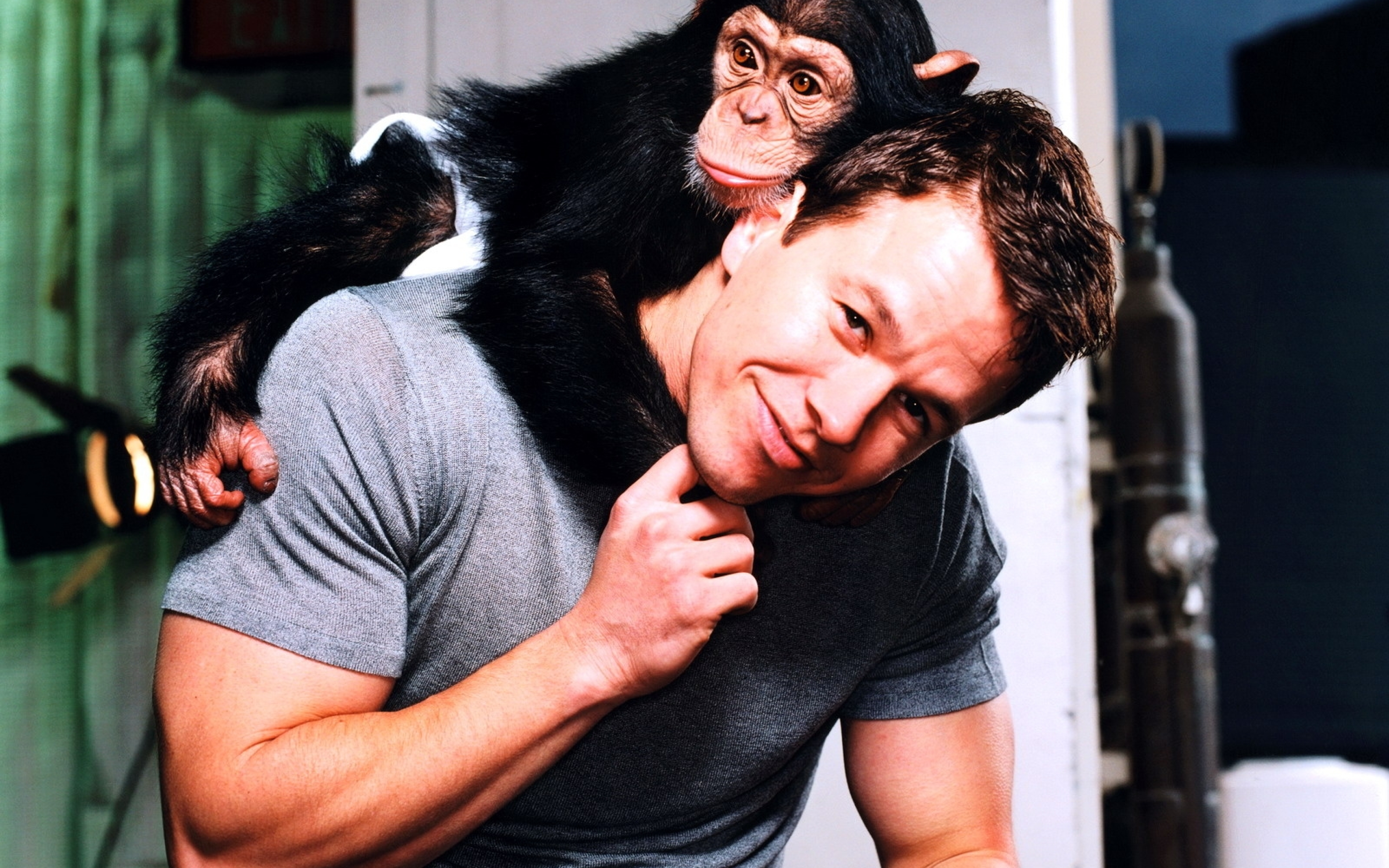 3840x2400 Resolution mark wahlberg, monkey, smile UHD 4K 3840x2400 ...