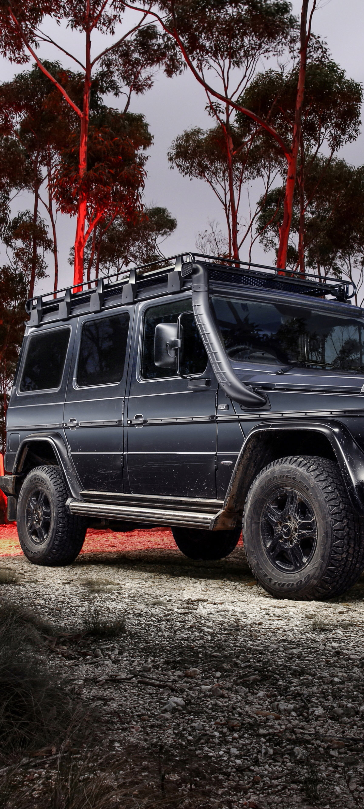 1220x2712 Resolution Mercedes Benz G 300 CDI Professional 2017 ...