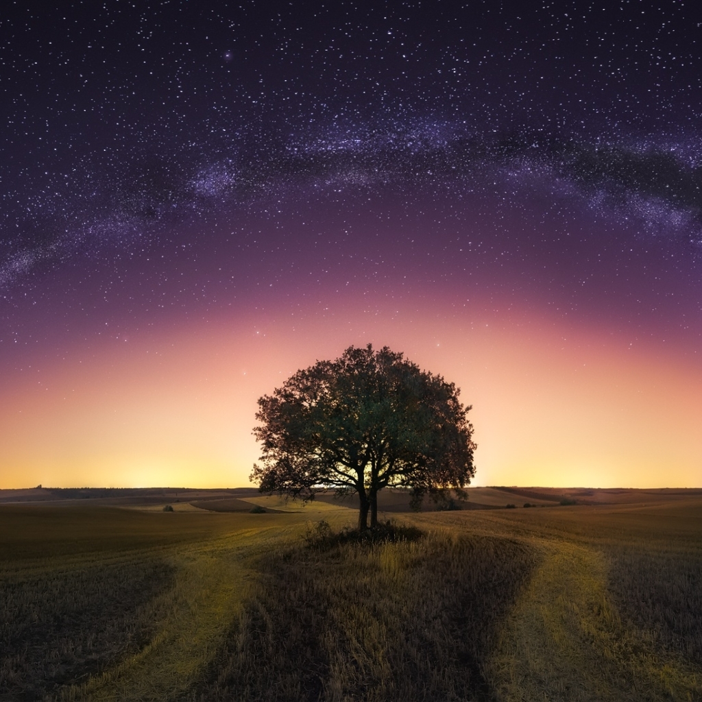1024x1024 Resolution Milky Way Tree Field 1024x1024 Resolution ...