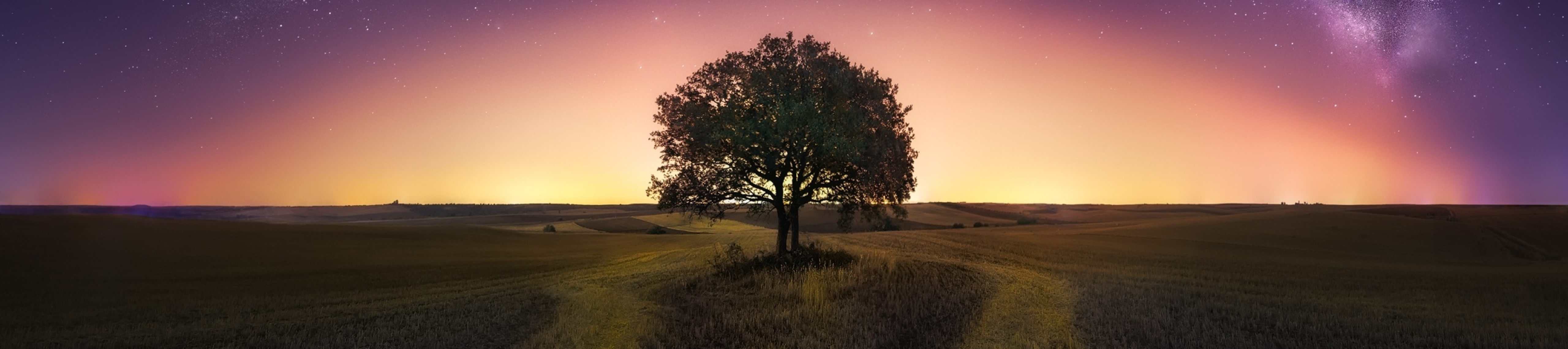 5120x1140 Resolution Milky Way Tree Field 5120x1140 Resolution ...