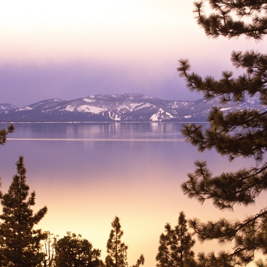 900x900 Resolution mountain, lake, trees 900x900 Resolution Wallpaper ...