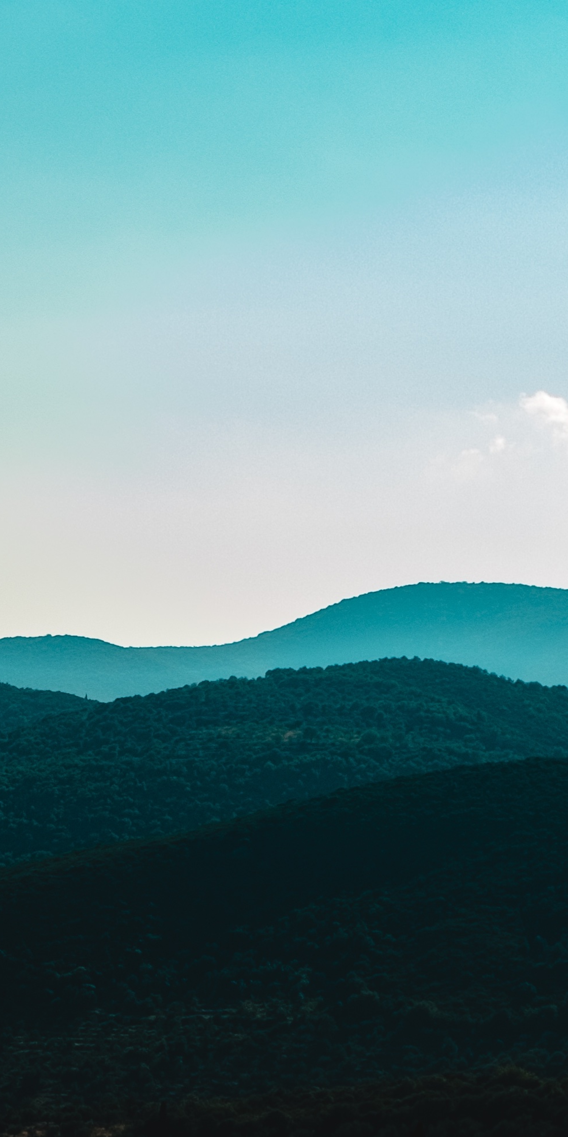 1920x3840 Resolution mountains, trees, sky 1920x3840 Resolution ...