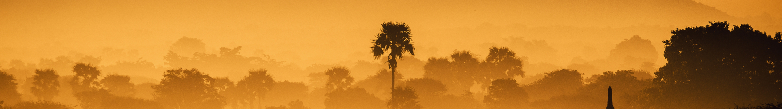 1536x215 Resolution Myanmar Forest 4K Sunset 1536x215 Resolution ...