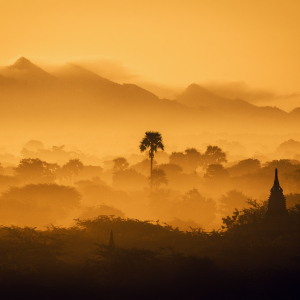 300x300 Resolution Myanmar Forest 4K Sunset 300x300 Resolution ...