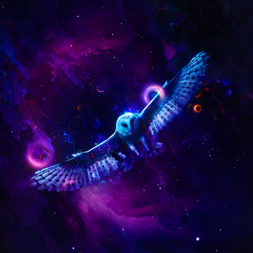 512x512 Resolution Neon Bird 512x512 Resolution Wallpaper - Wallpapers Den