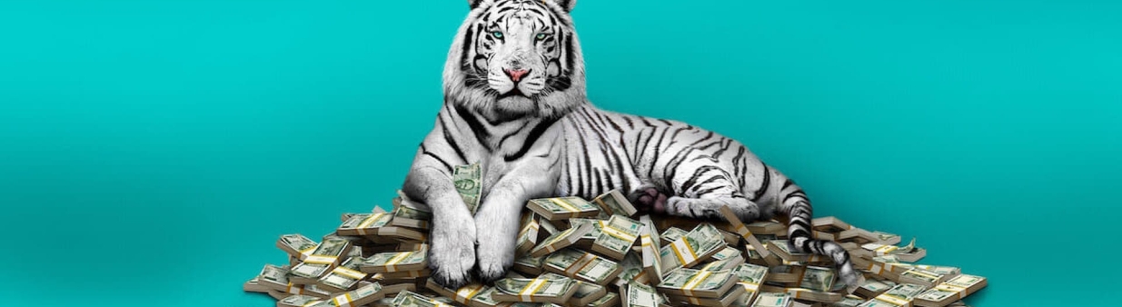 1235x338 Netflix The White Tiger 1235x338 Resolution Wallpaper, HD ...