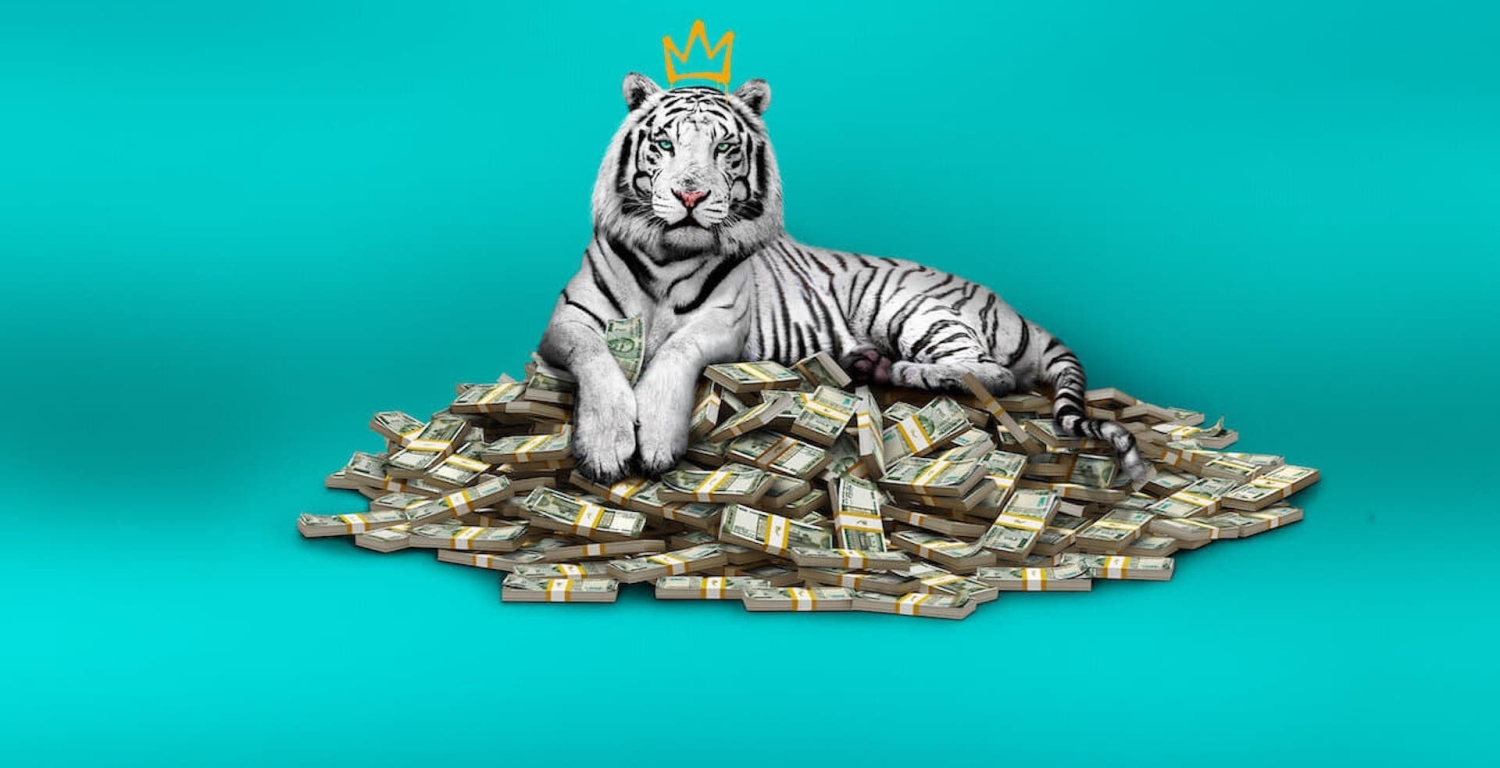 1500x768 Netflix The White Tiger 1500x768 Resolution Wallpaper, HD ...