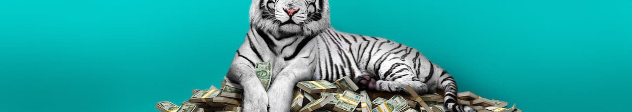 2160x384 Resolution Netflix The White Tiger 2160x384 Resolution ...