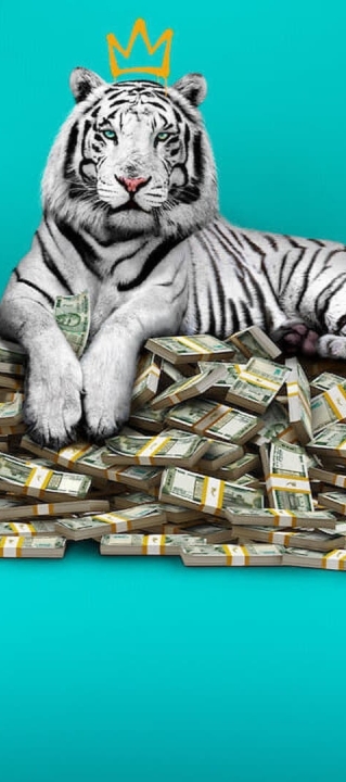 319x720 Netflix The White Tiger 319x720 Resolution Wallpaper, HD Movies ...