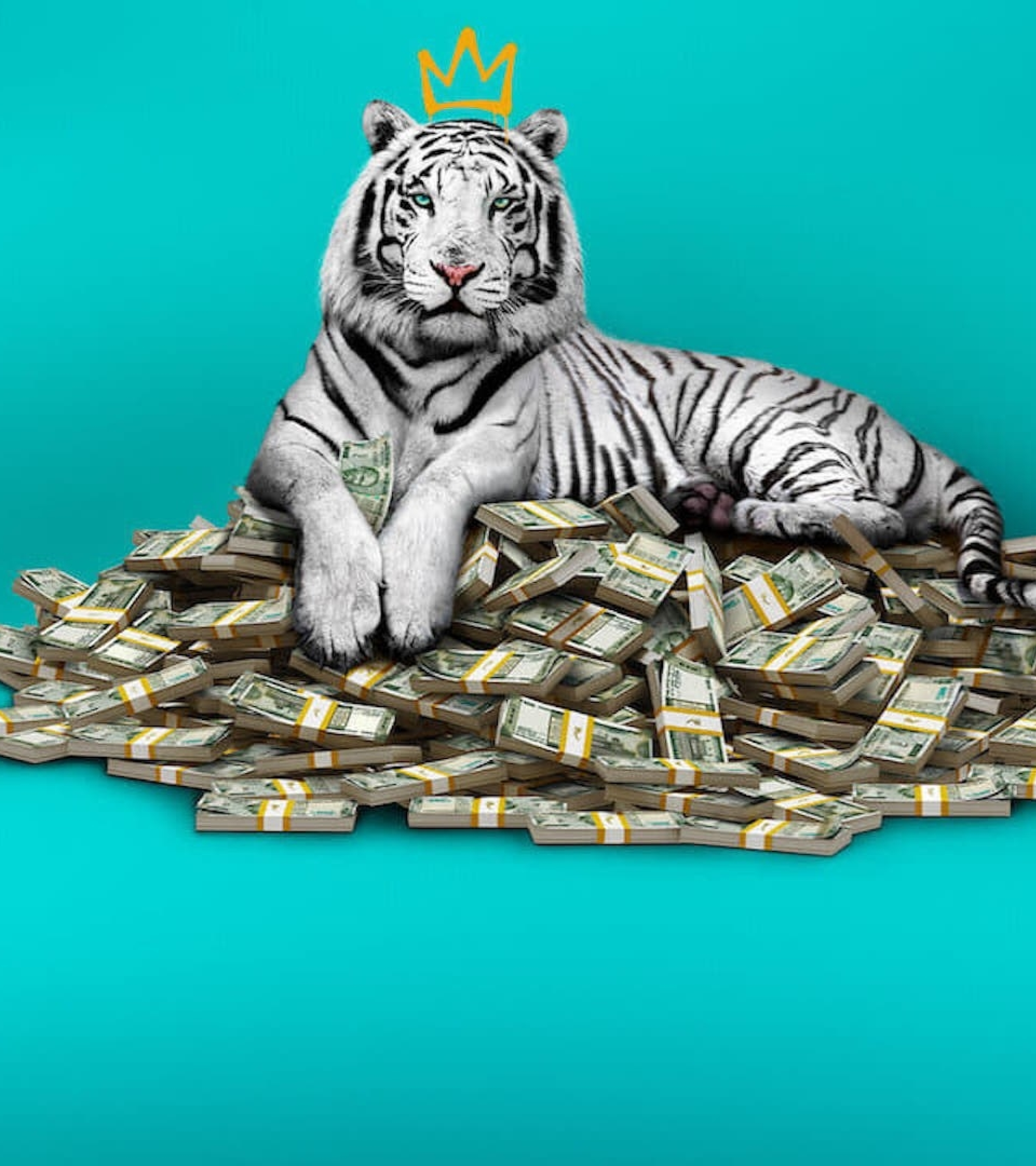 3980x4480 Resolution Netflix The White Tiger 3980x4480 Resolution ...