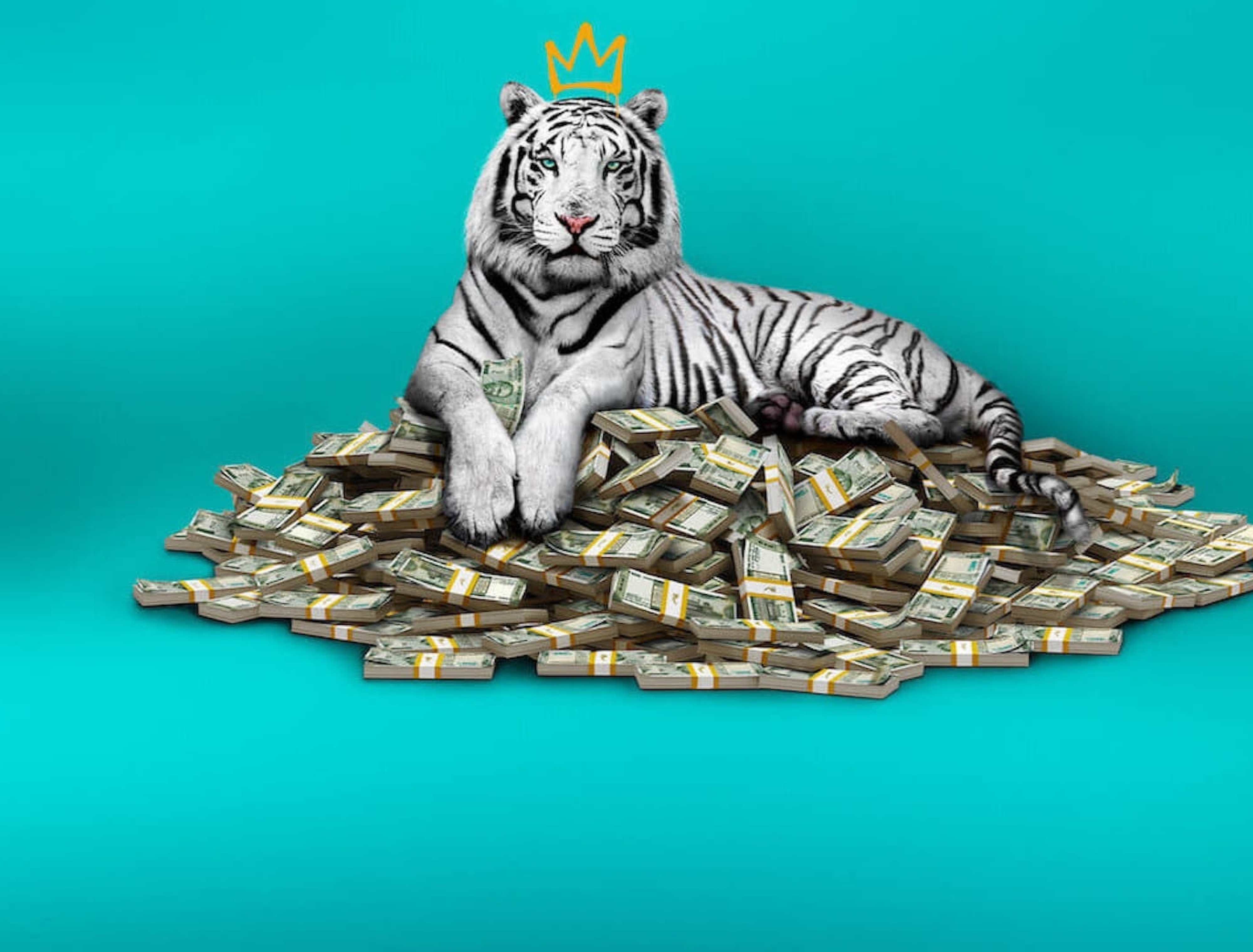 4000x3040 Netflix The White Tiger 4000x3040 Resolution Wallpaper, HD ...