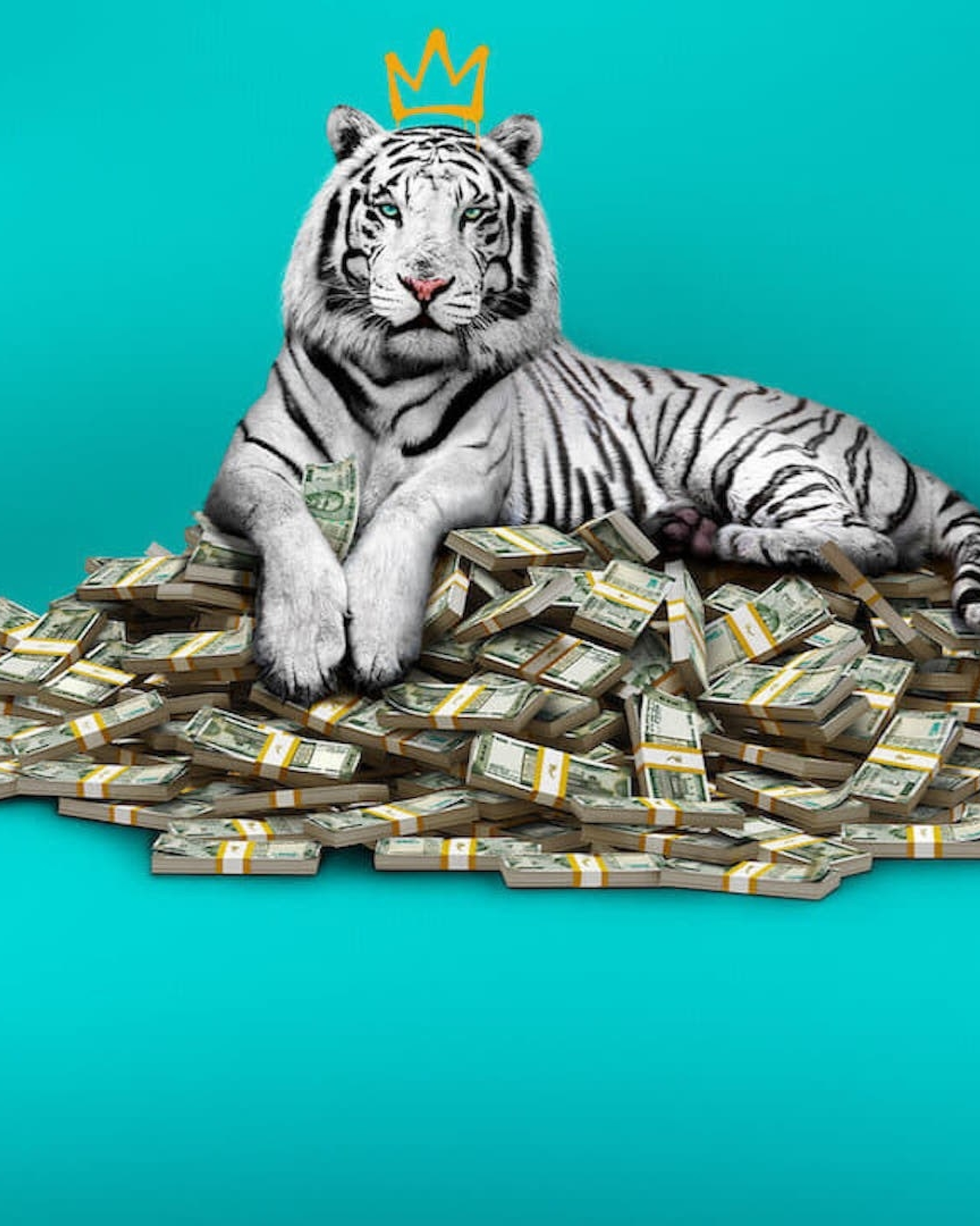 4000x5000 Resolution Netflix The White Tiger 4000x5000 Resolution ...