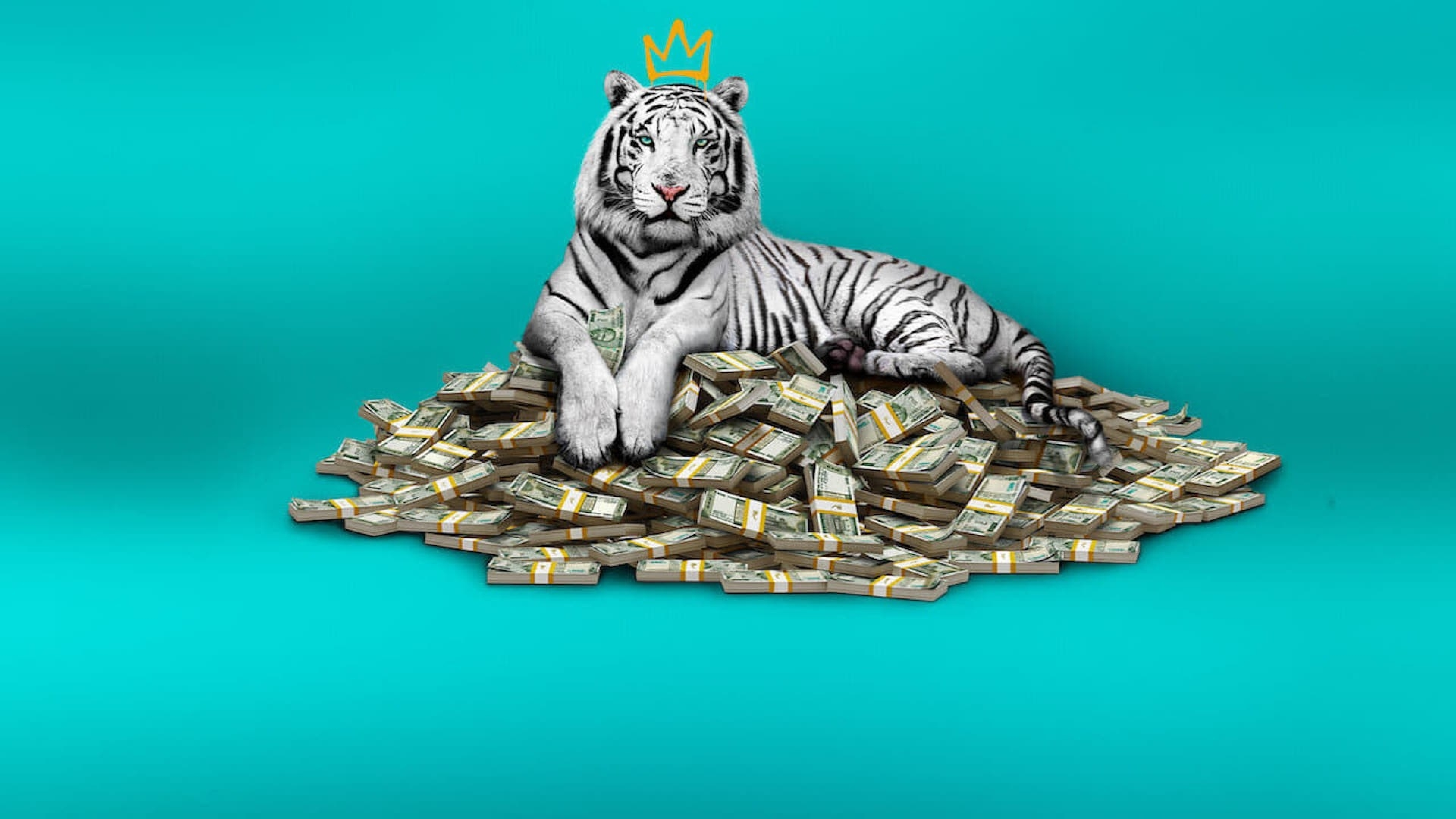 5760x3240 Resolution Netflix The White Tiger 5760x3240 Resolution ...