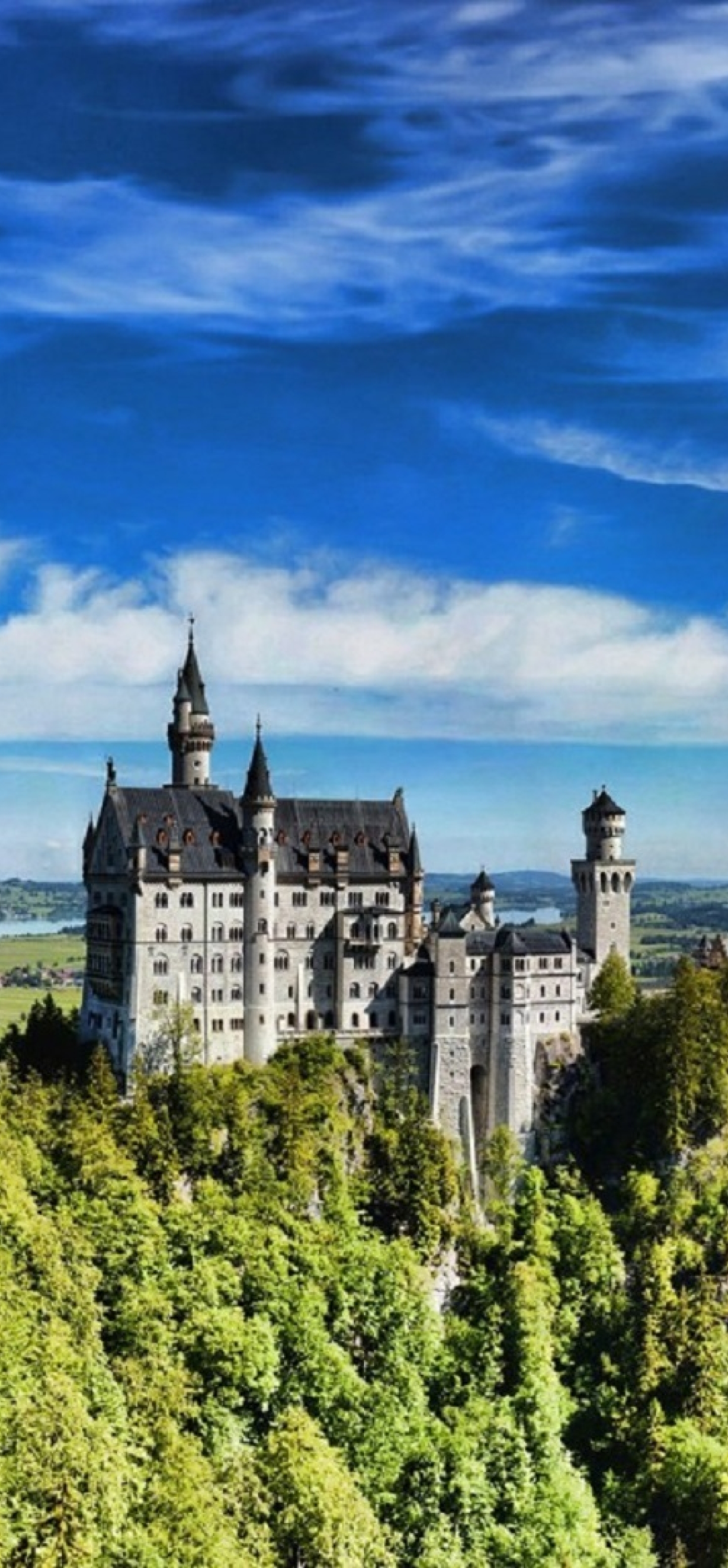 1440x3100 Resolution neuschwanstein castle, fussen, germany 1440x3100 ...