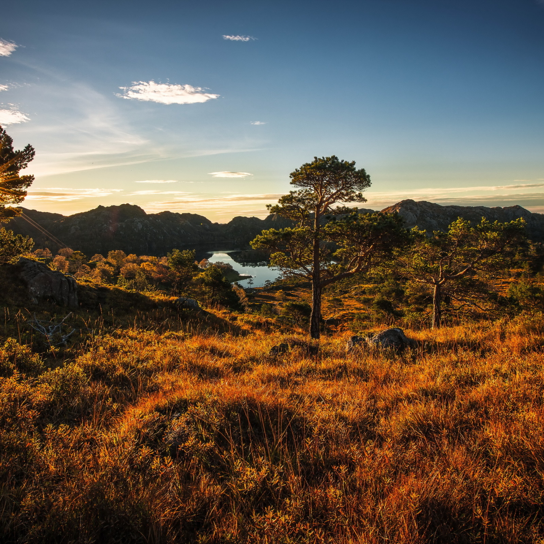 2248x2248 Resolution norway, trees, sky 2248x2248 Resolution Wallpaper ...