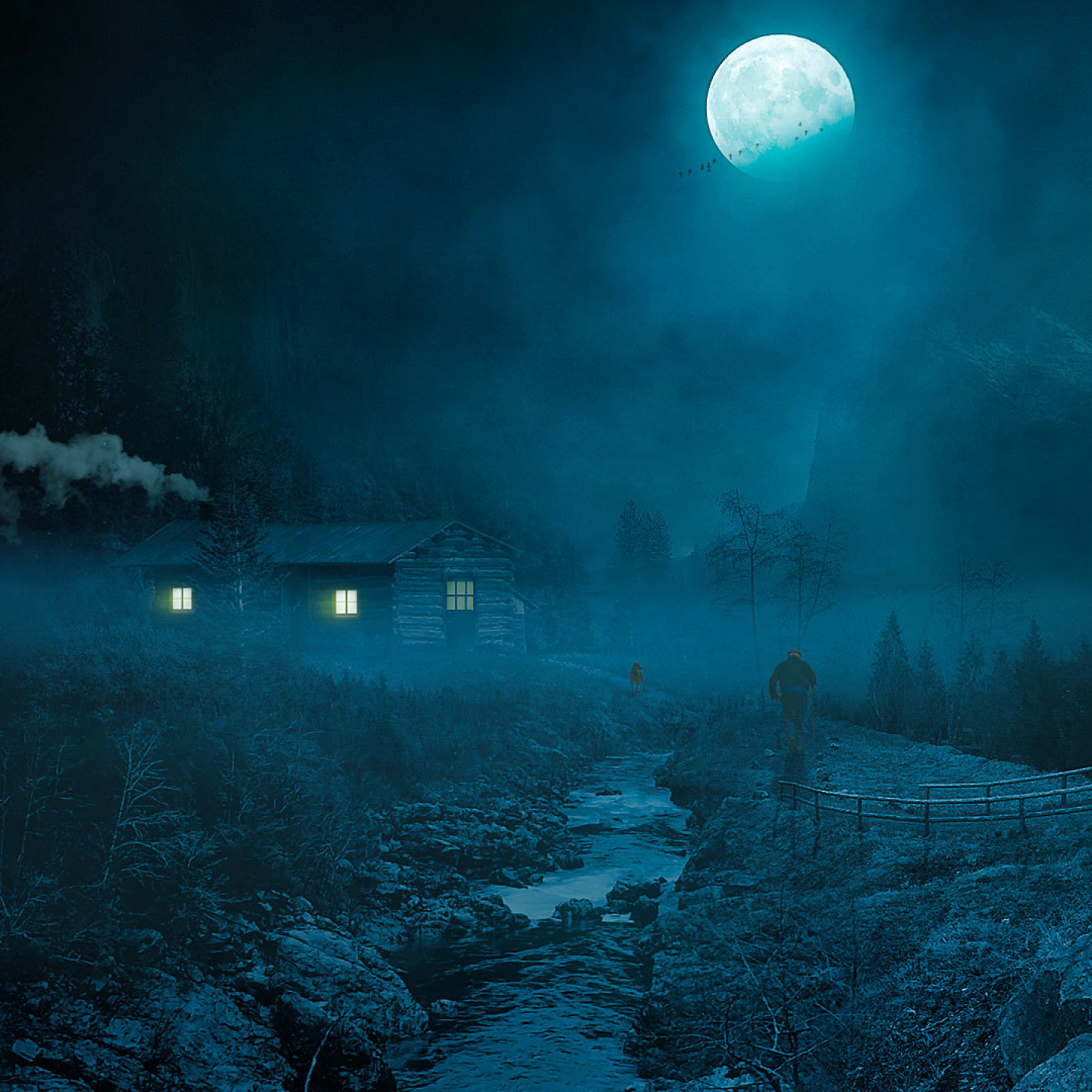 1440x1440 Resolution Old House In Forest 1440x1440 Resolution Wallpaper ...