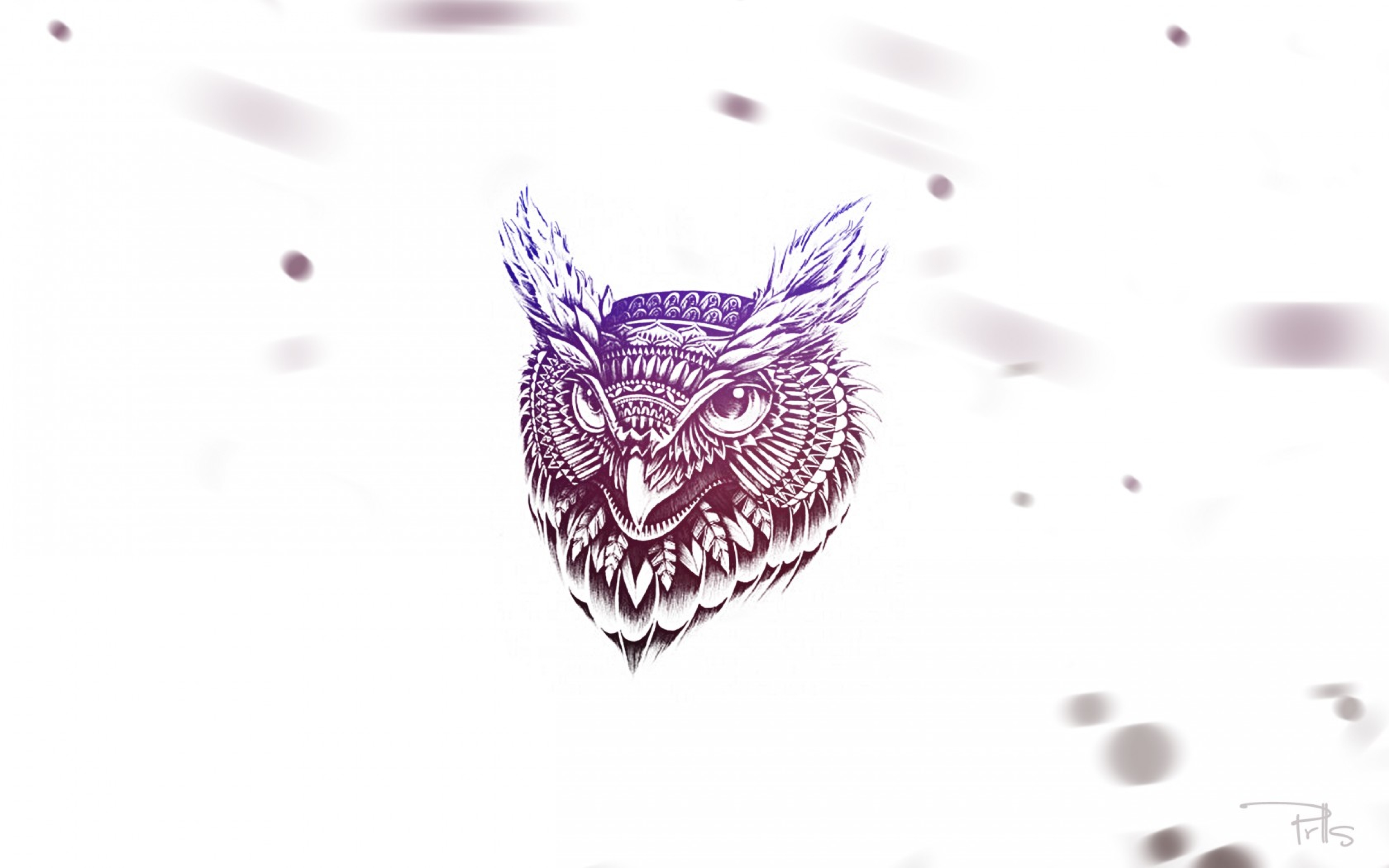 3840x2400 Resolution owl, art, face UHD 4K 3840x2400 Resolution ...