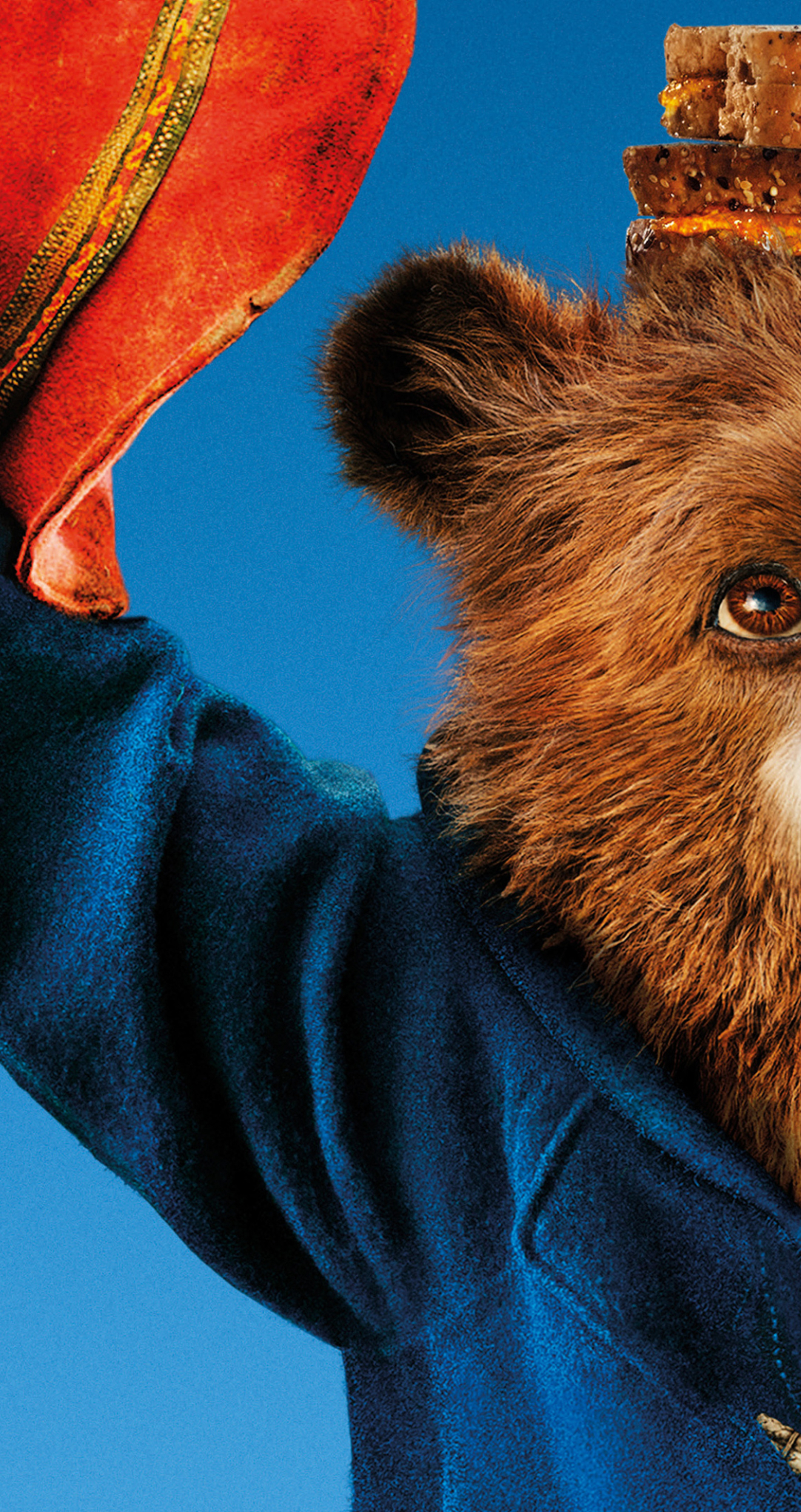 1082x2042 Resolution Paddington 2 Bear 1082x2042 Resolution Wallpaper ...