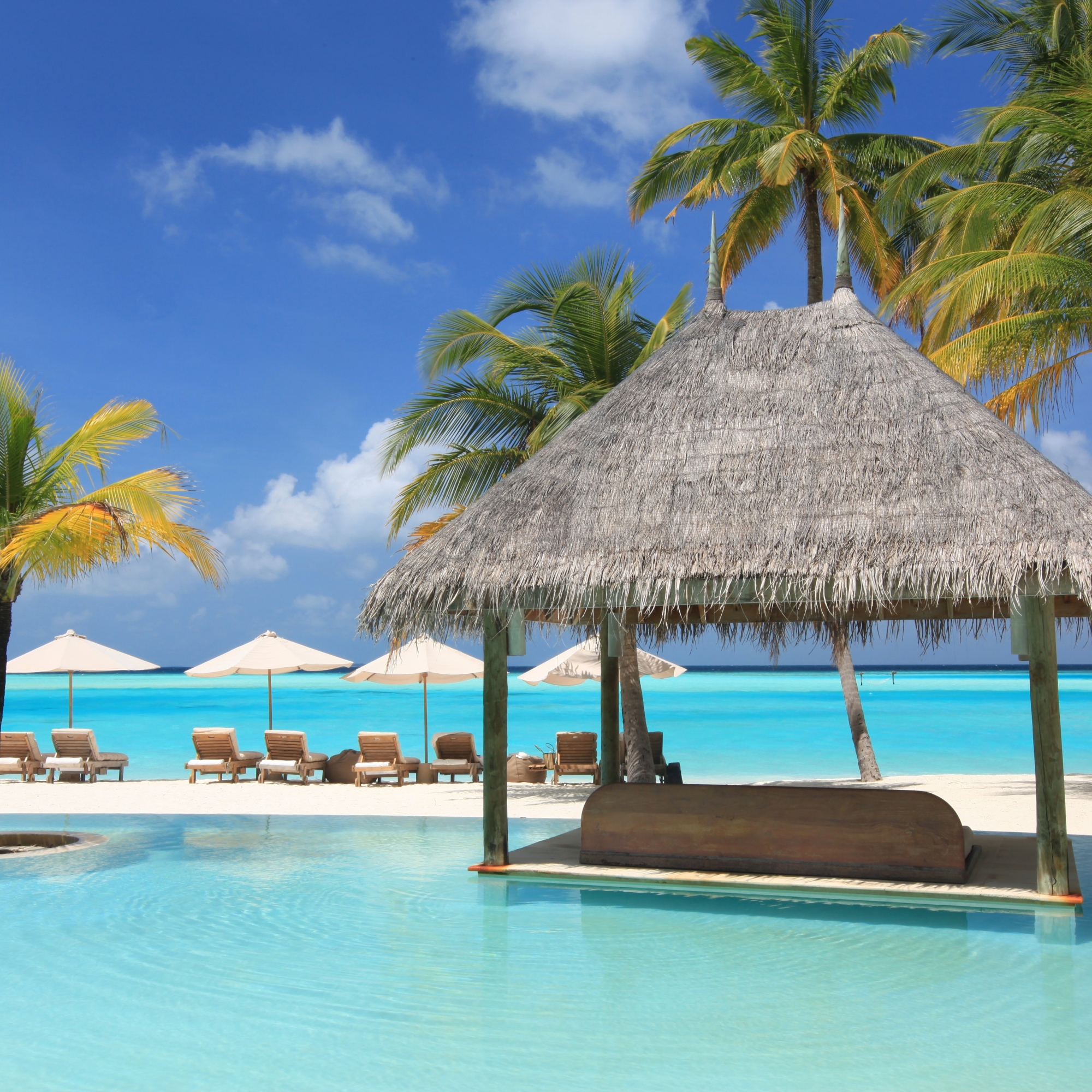 2000x2000 Resolution palm trees, vacation, sun beds 2000x2000 ...