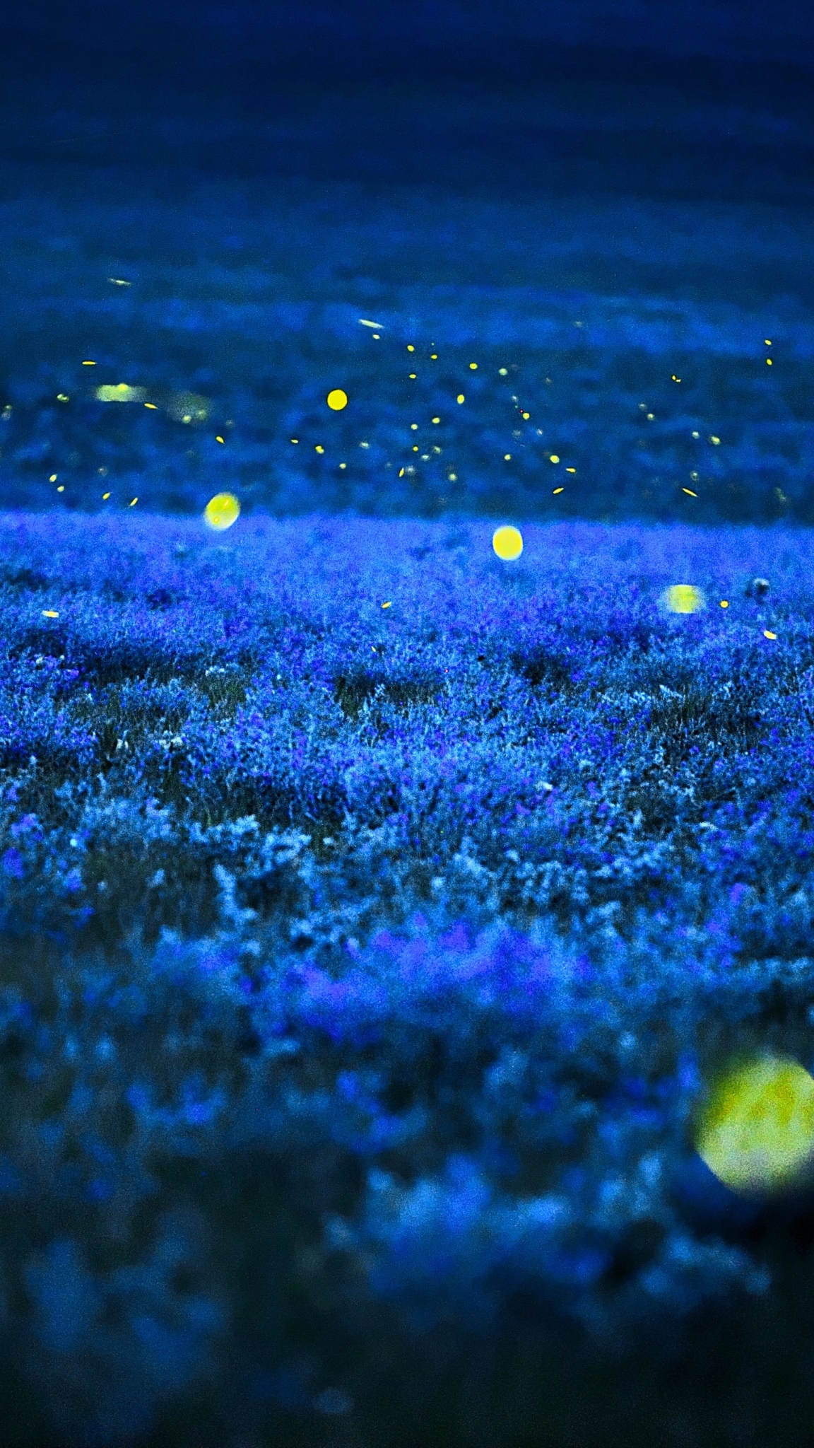 1152x2048 Pandora 4K Avatar 1152x2048 Resolution Wallpaper, HD Movies ...