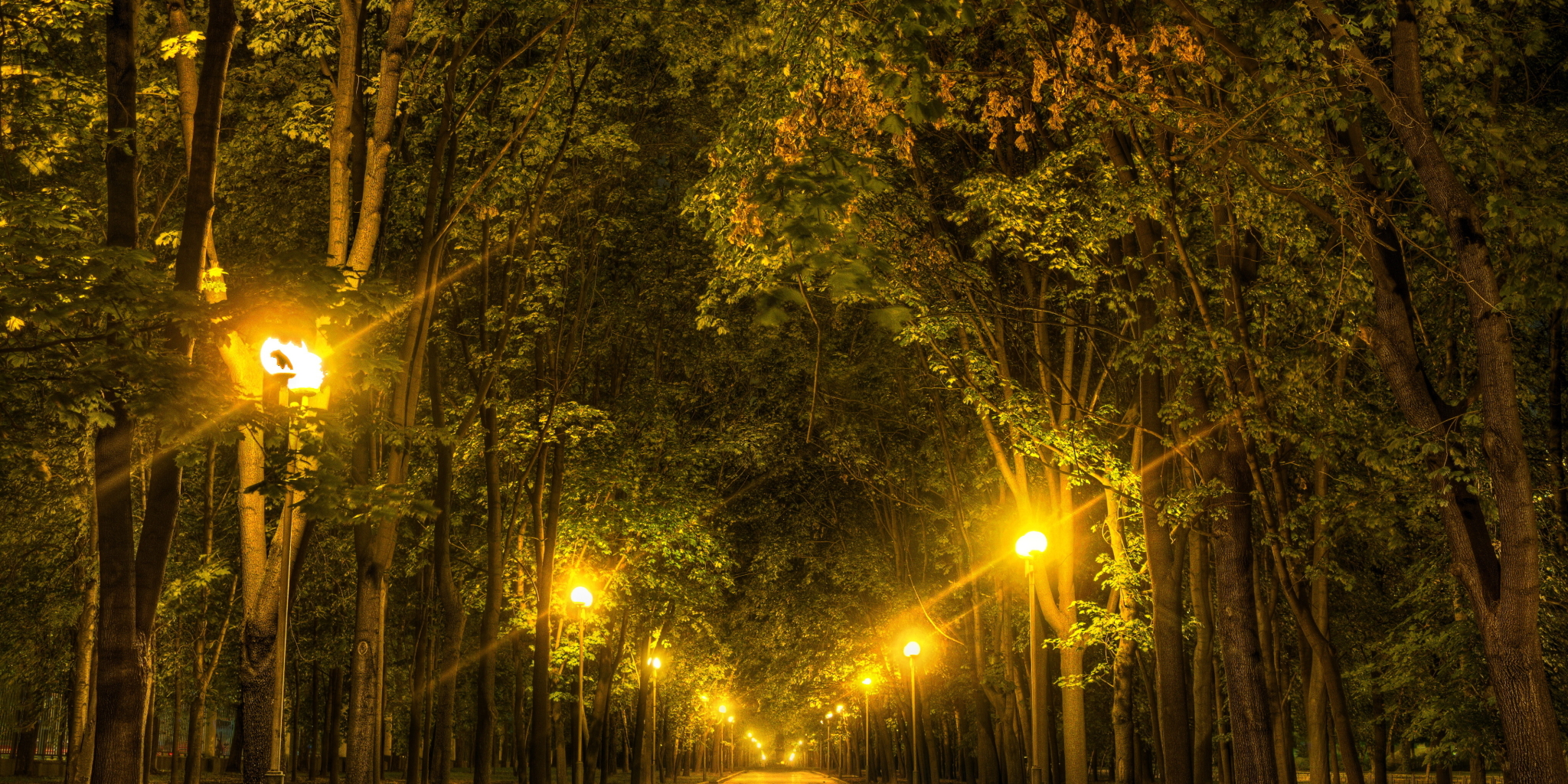 2048x1024 Resolution park, alley, trees 2048x1024 Resolution Wallpaper ...