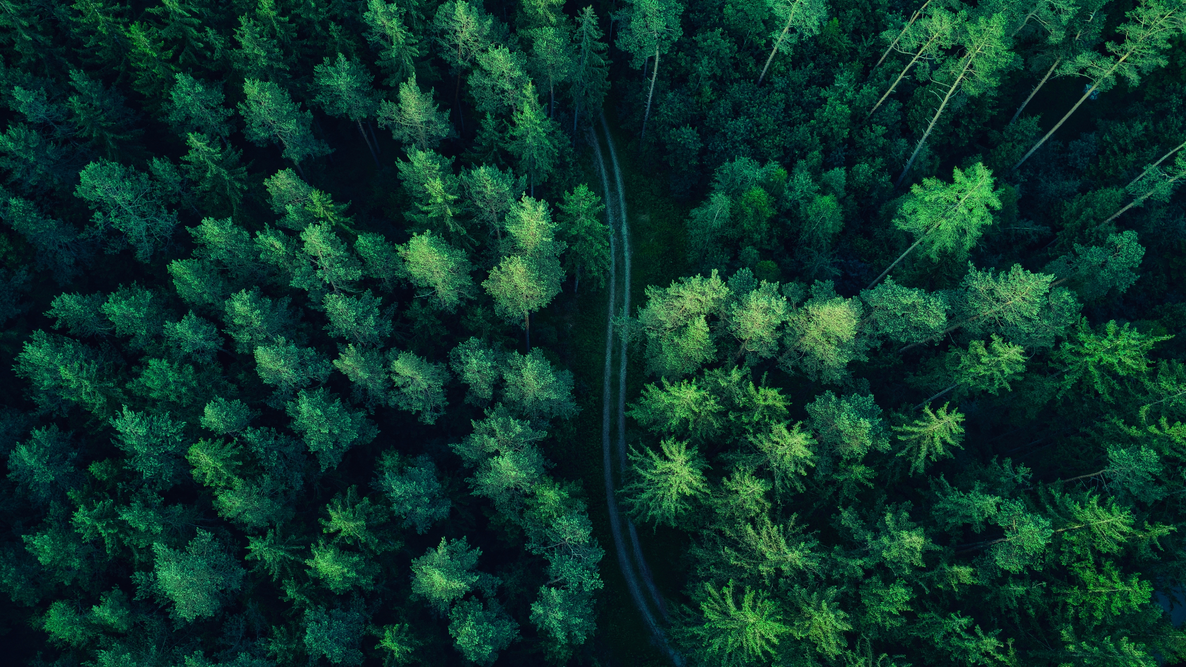 9999x9999 Photography Aerial 4k 9999x9999 Resolution Wallpaper, HD ...