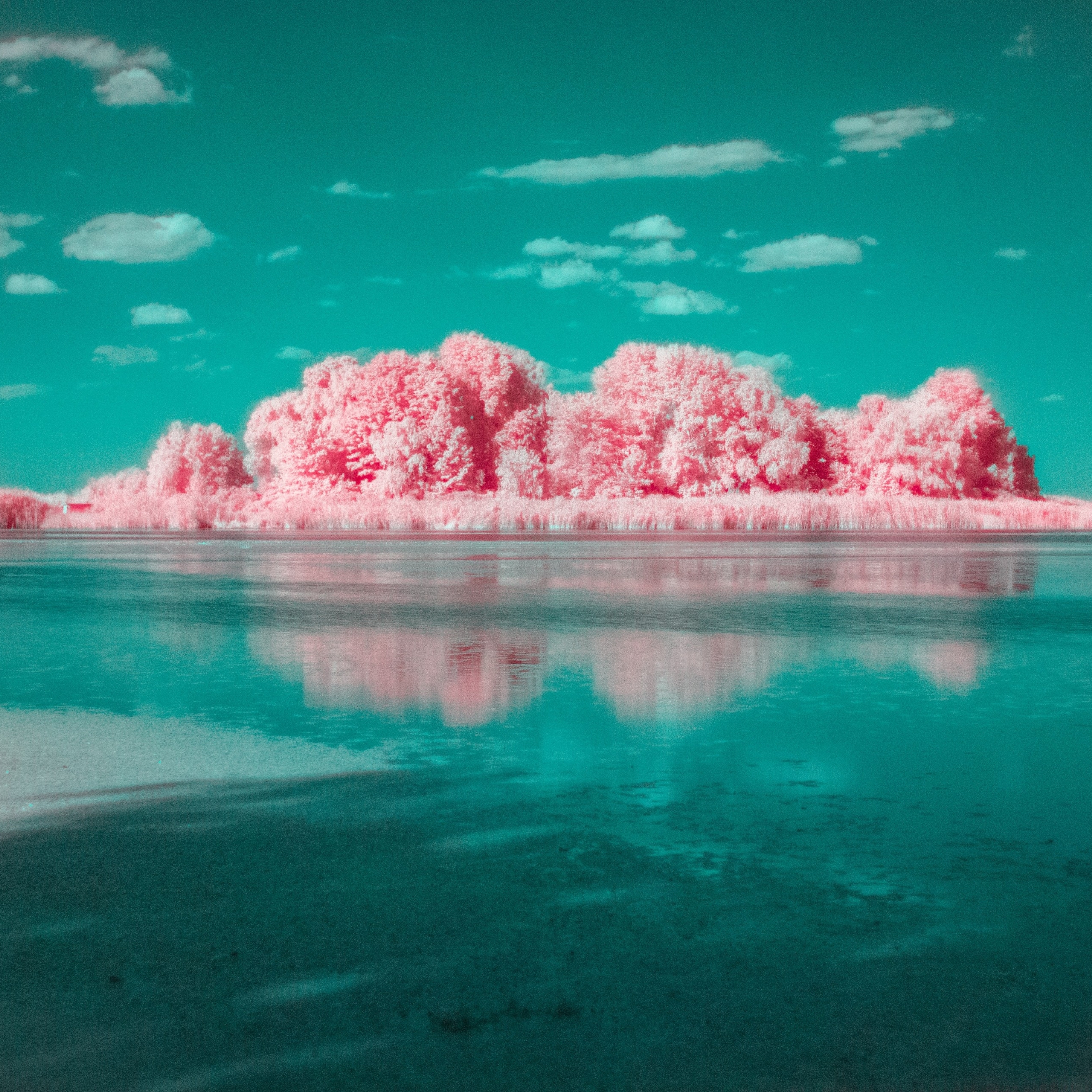 4000x4000 Resolution Photography Infrared 4k 4000x4000 Resolution ...